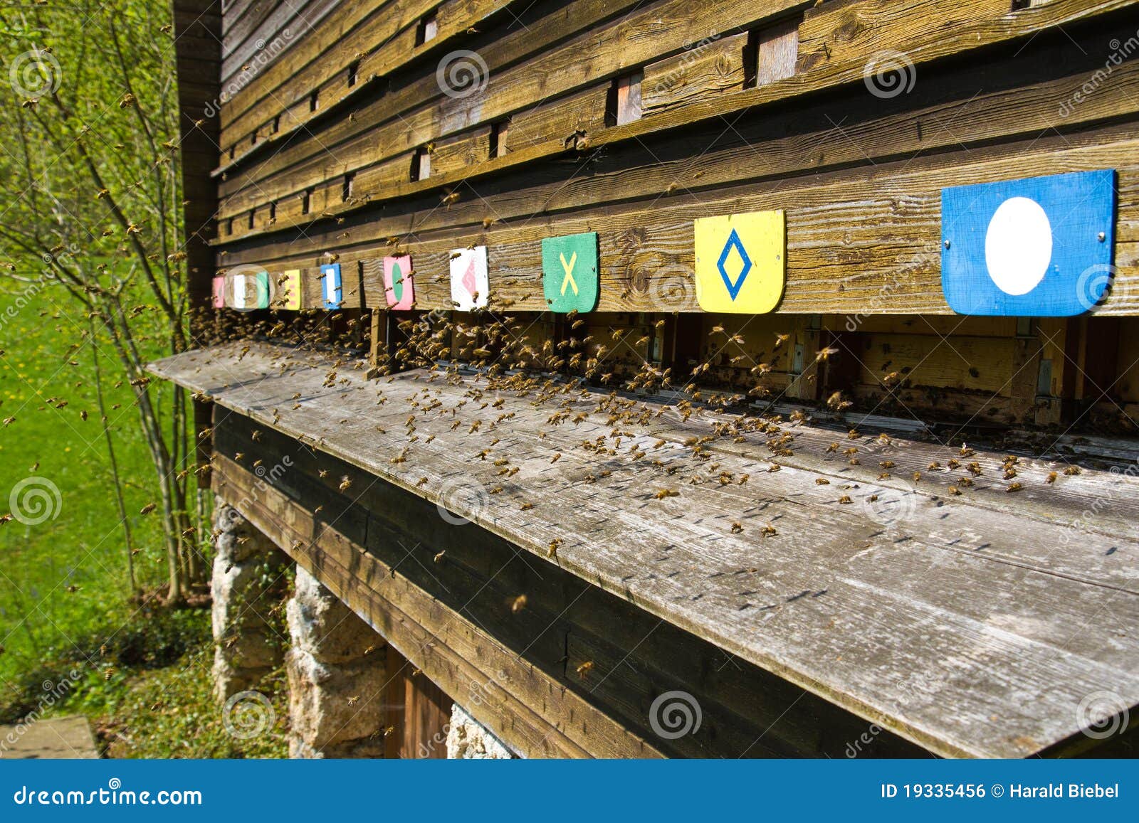 Bees flying into a beehive stock photo. Image of farm - 19335456