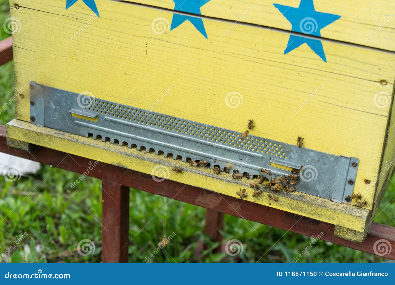 Bees Flying in Front of the Hive Entry Stock Photo - Image of farming ...