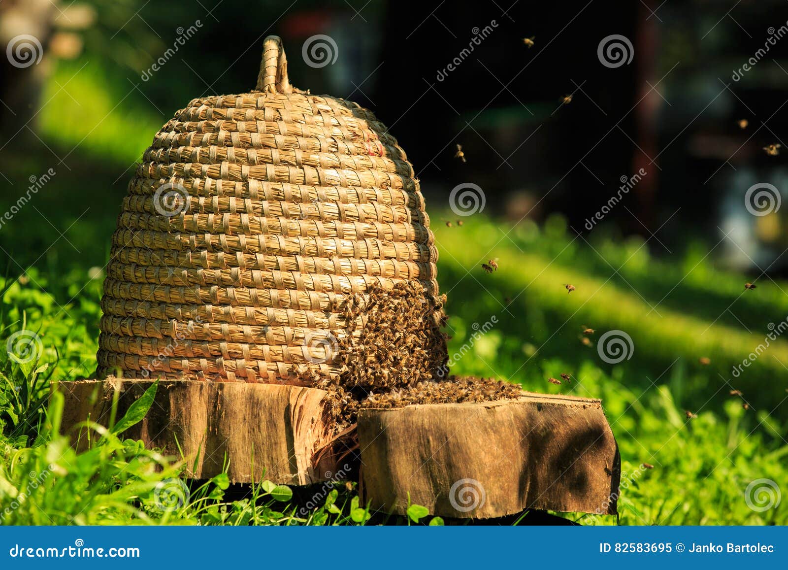 Bees in hey beehive stock image. Image of detail, macro - 82583695