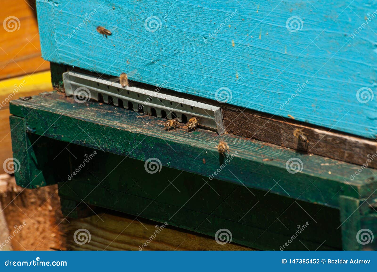 Bees in Hive.Apiary.Macro.Insect Stock Photo - Image of shape, colony ...