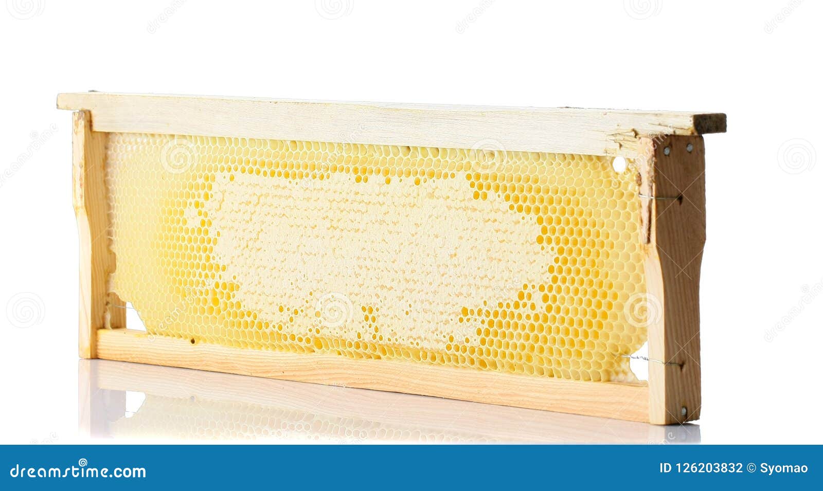 Bees Honeycomb with Honey in a Wooden Frame on a White Background Stock ...