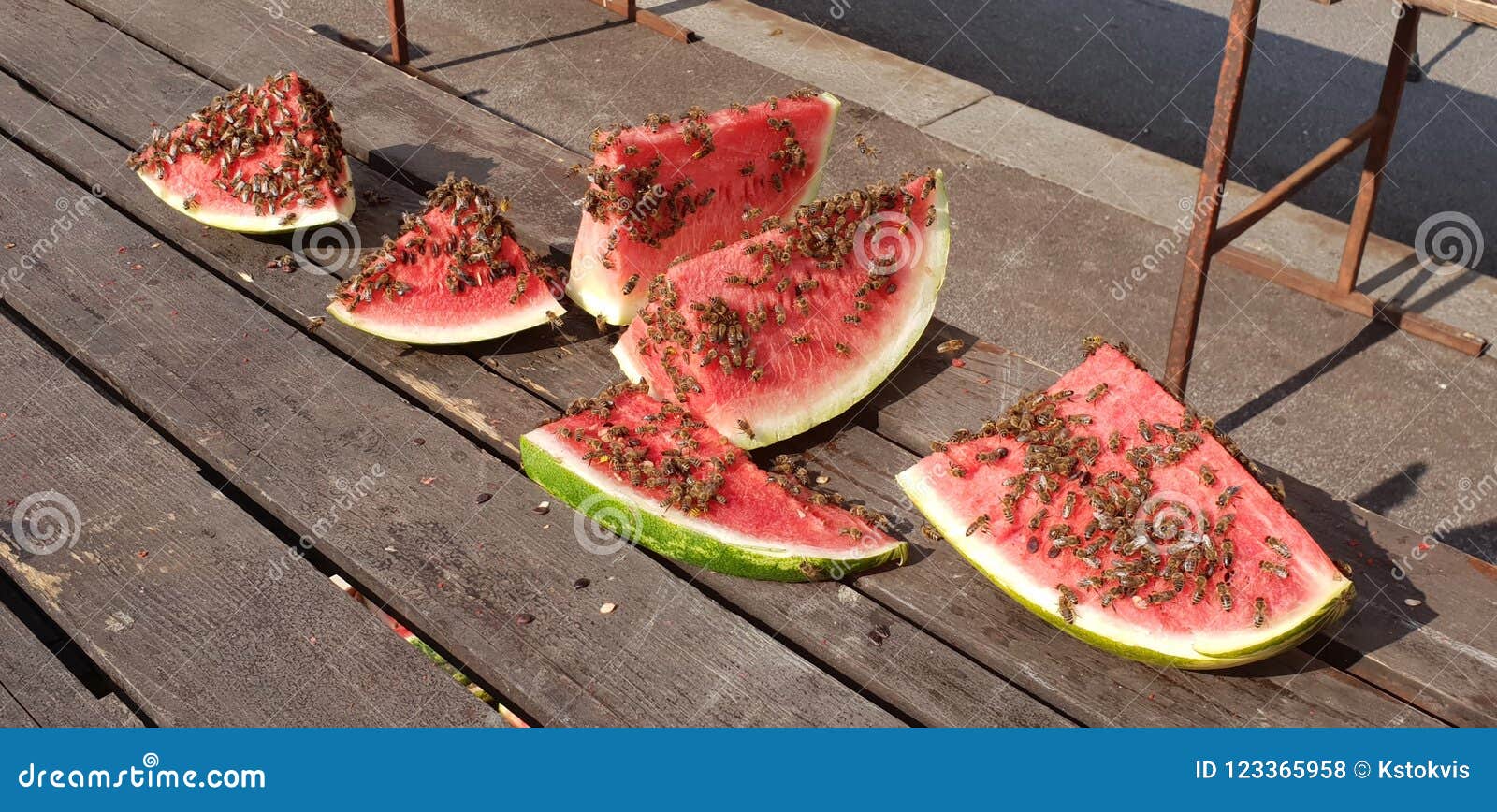 Bees on watermelon stock photo. Image of bees, sugar - 123365958