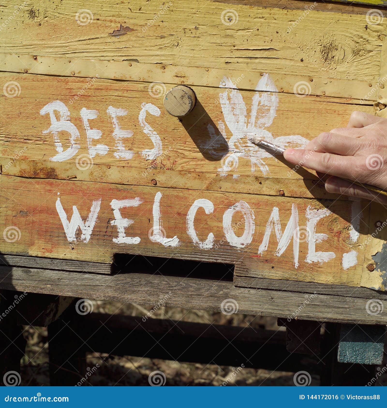 Bees are Welcome in Beehive Stock Photo - Image of welcome, brush ...
