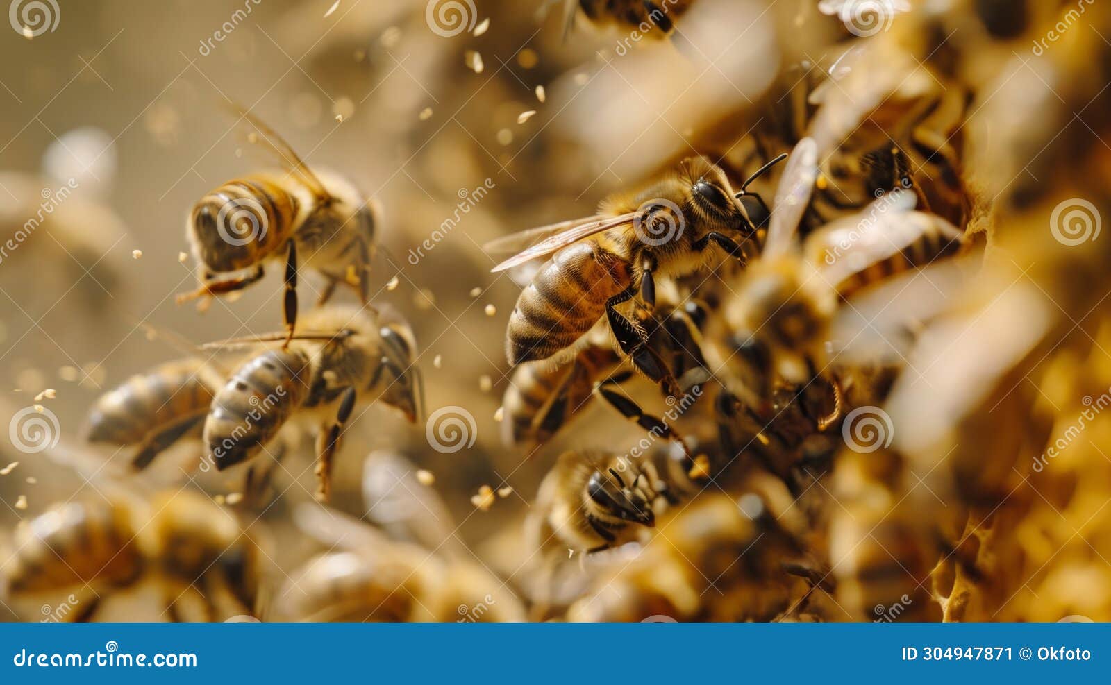 Bees Working Together within the Hive on Comb, Symbolizing Community ...