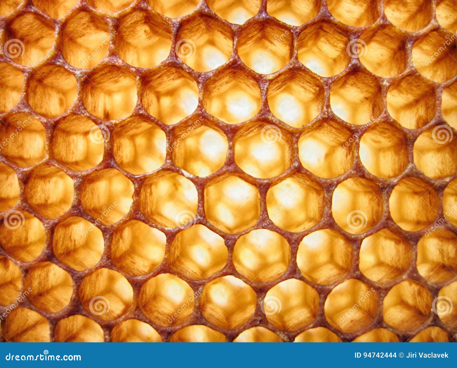 Beeswax Texture without Honey Stock Photo - Image of colony, abstract ...