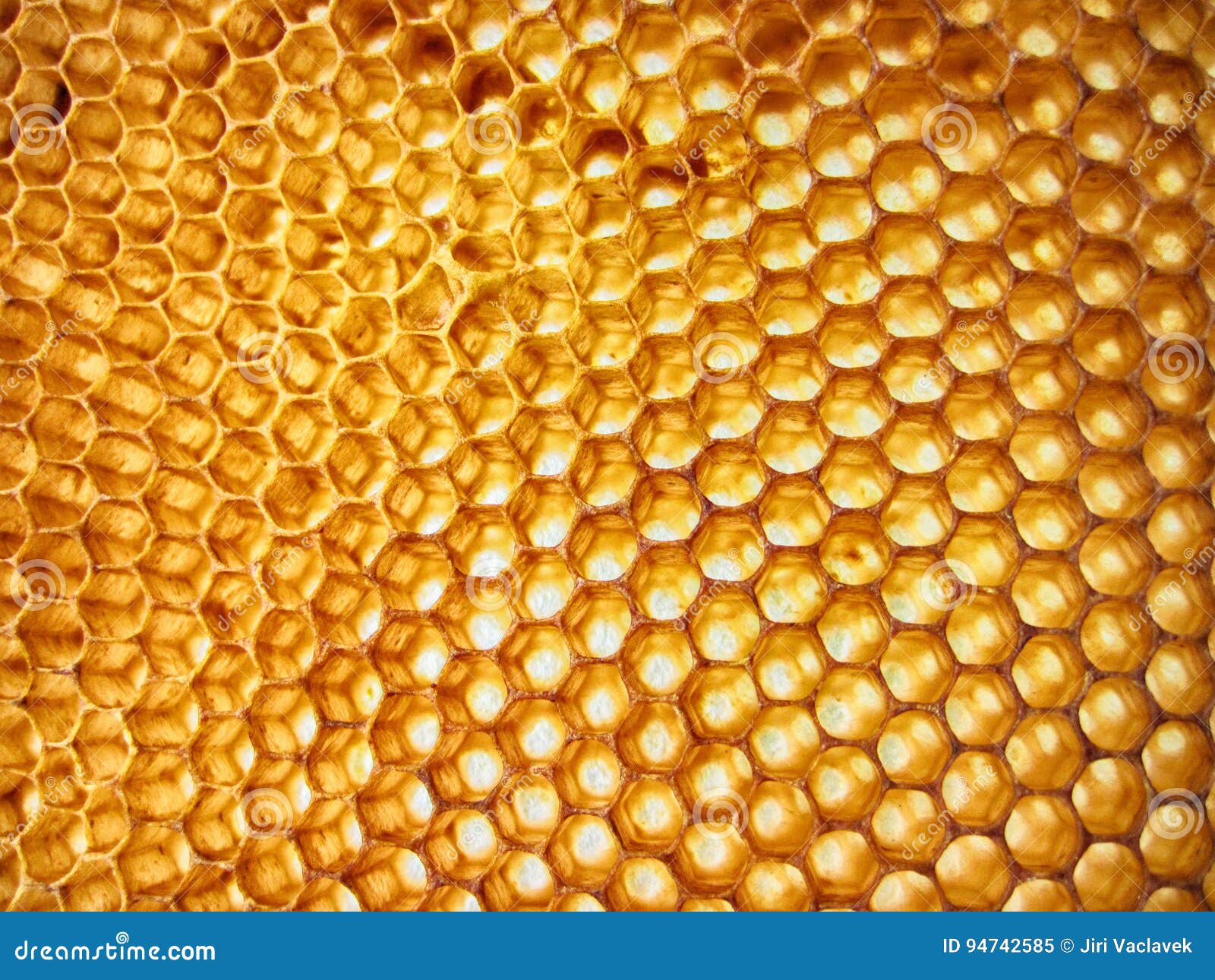 Beeswax Texture without Honey Stock Image - Image of honey, concept ...