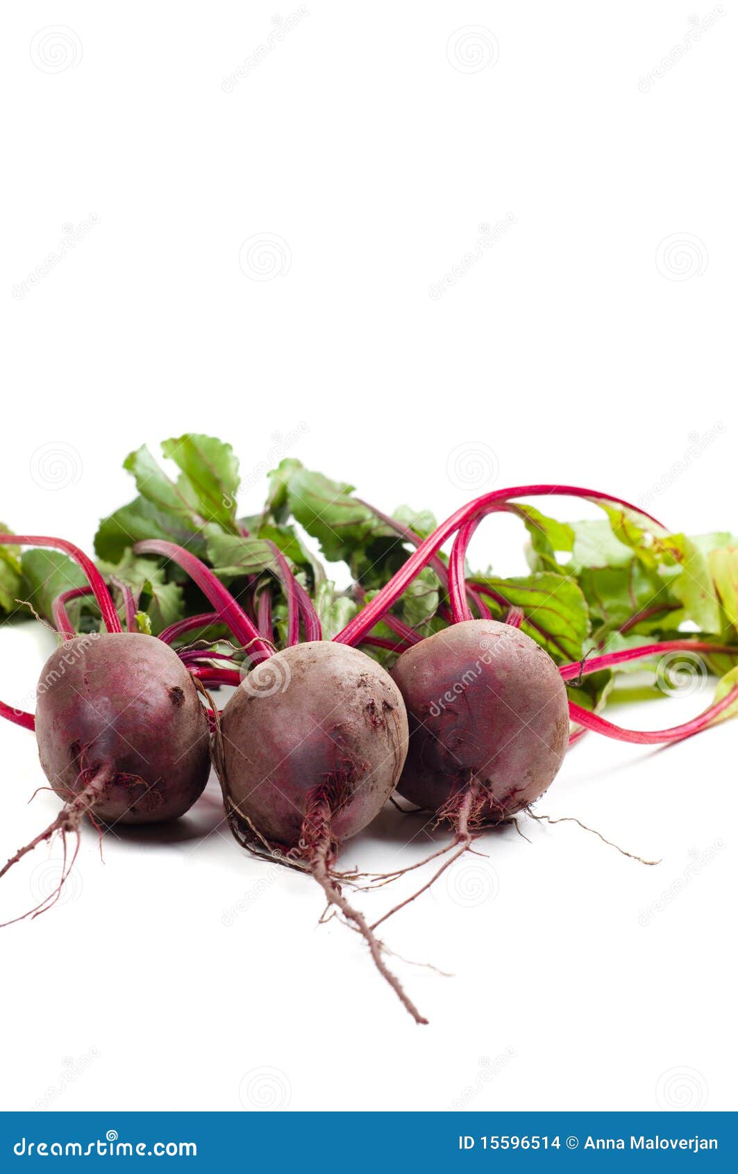 Beet stock photo. Image of harvest, white, health, isolated - 15596514