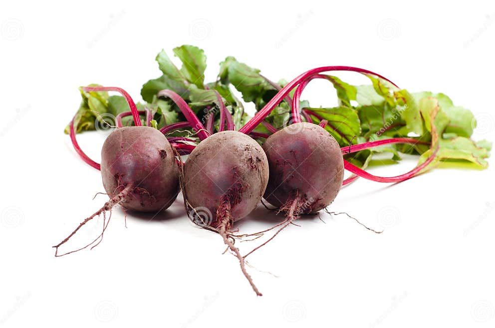 Beet stock photo. Image of violet, green, isolated, white - 16017174