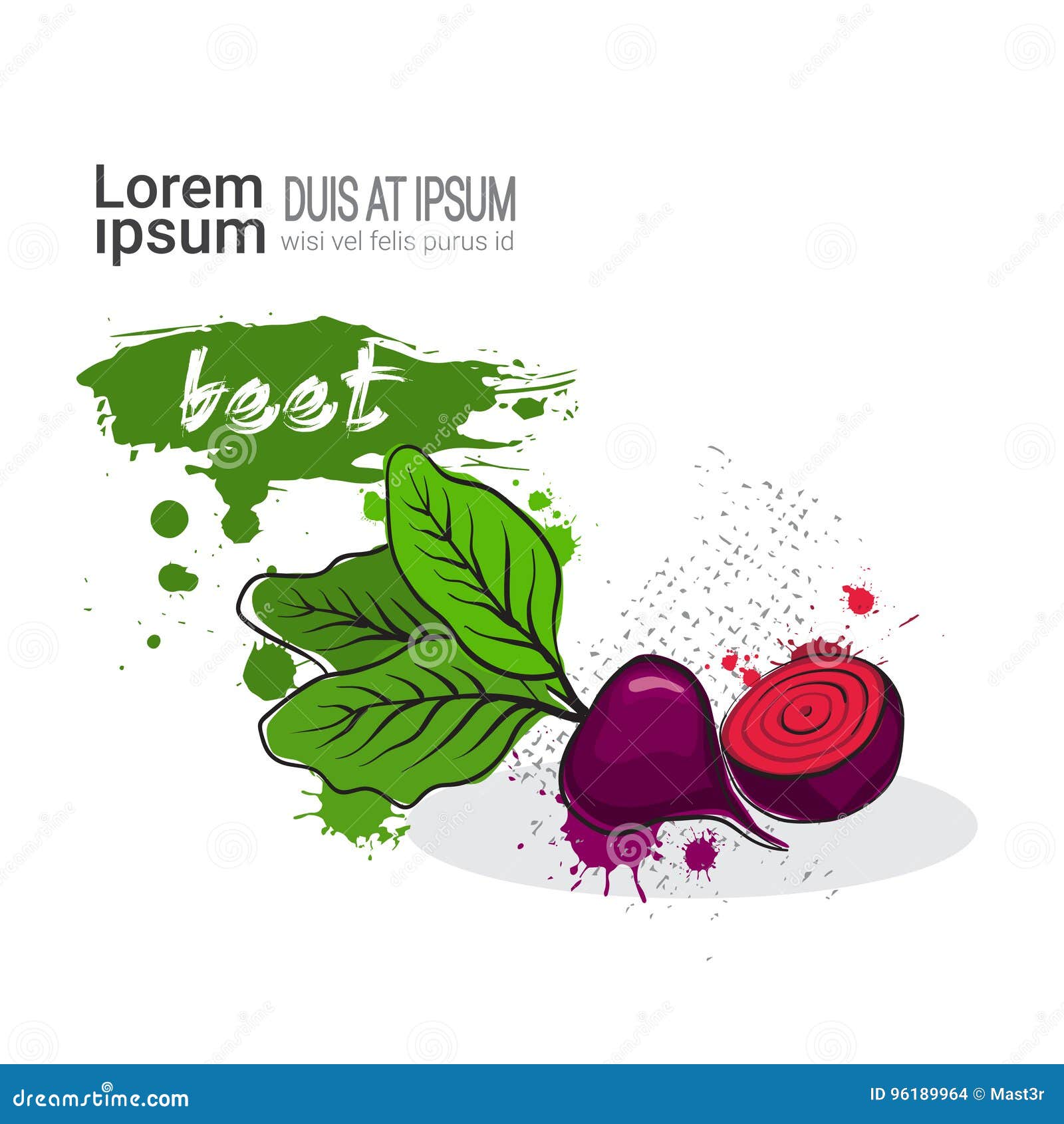 Beet. Hand Drawn Watercolor Painting Stock Photo | CartoonDealer.com ...