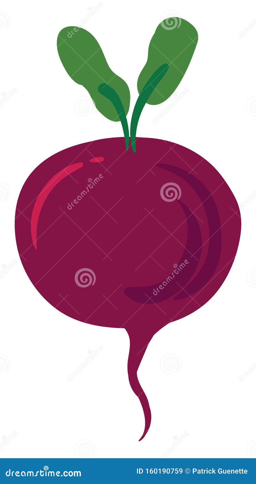 Beet, illustration, vector stock vector. Illustration of cooking ...