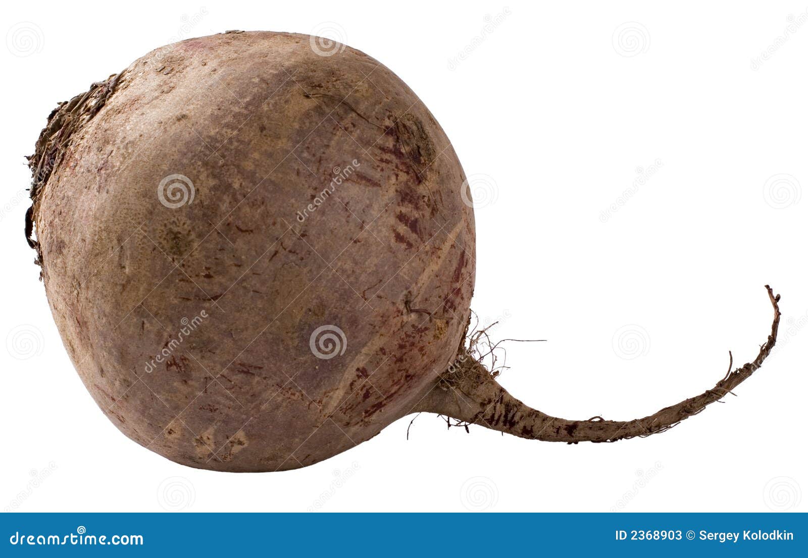 Beet isolated stock image. Image of dietary, beetroot - 2368903