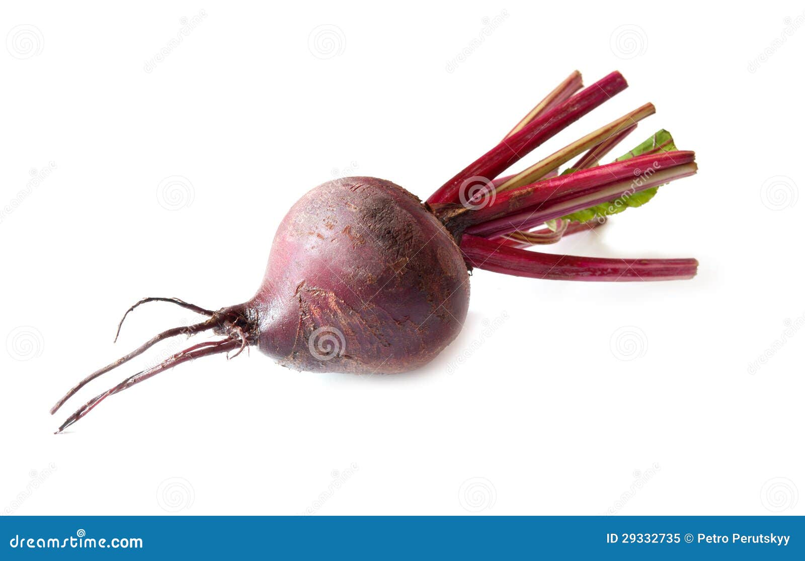 Beet stock image. Image of nutrient, ingredient, healthy - 29332735