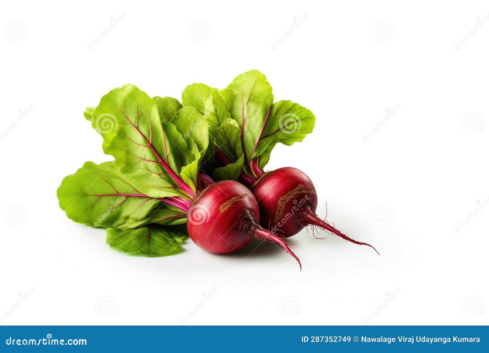 Beet Isolated on White. Generative Ai Stock Illustration - Illustration ...
