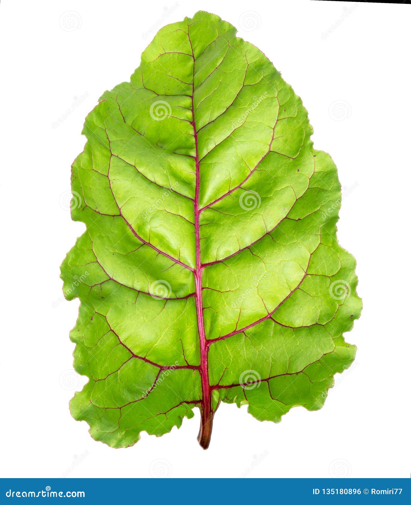 Beetroot, Fresh Cross Section Of Beets Royalty-Free Stock Image ...