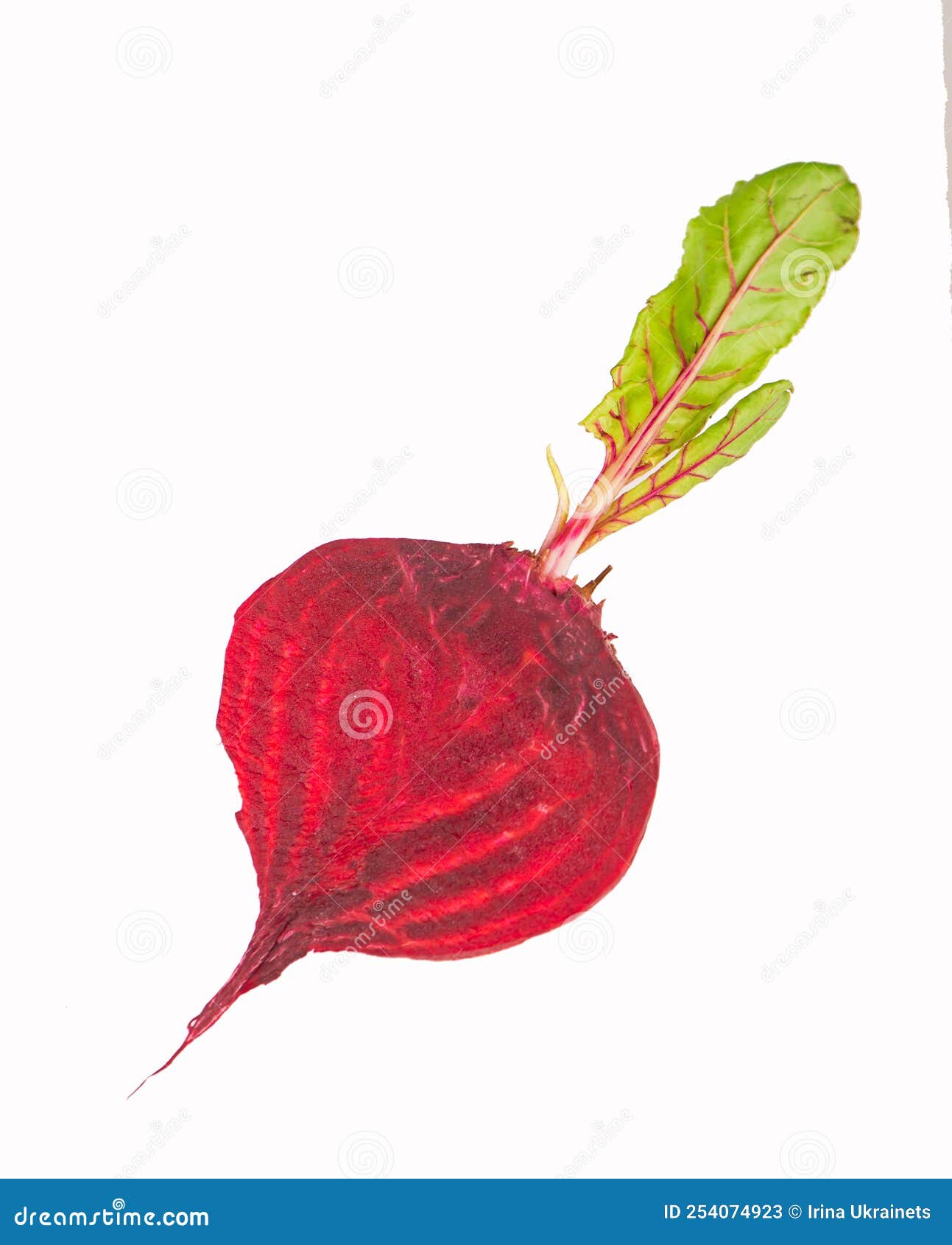 Beet with Leaves Isolated on White Background Stock Image - Image of ...