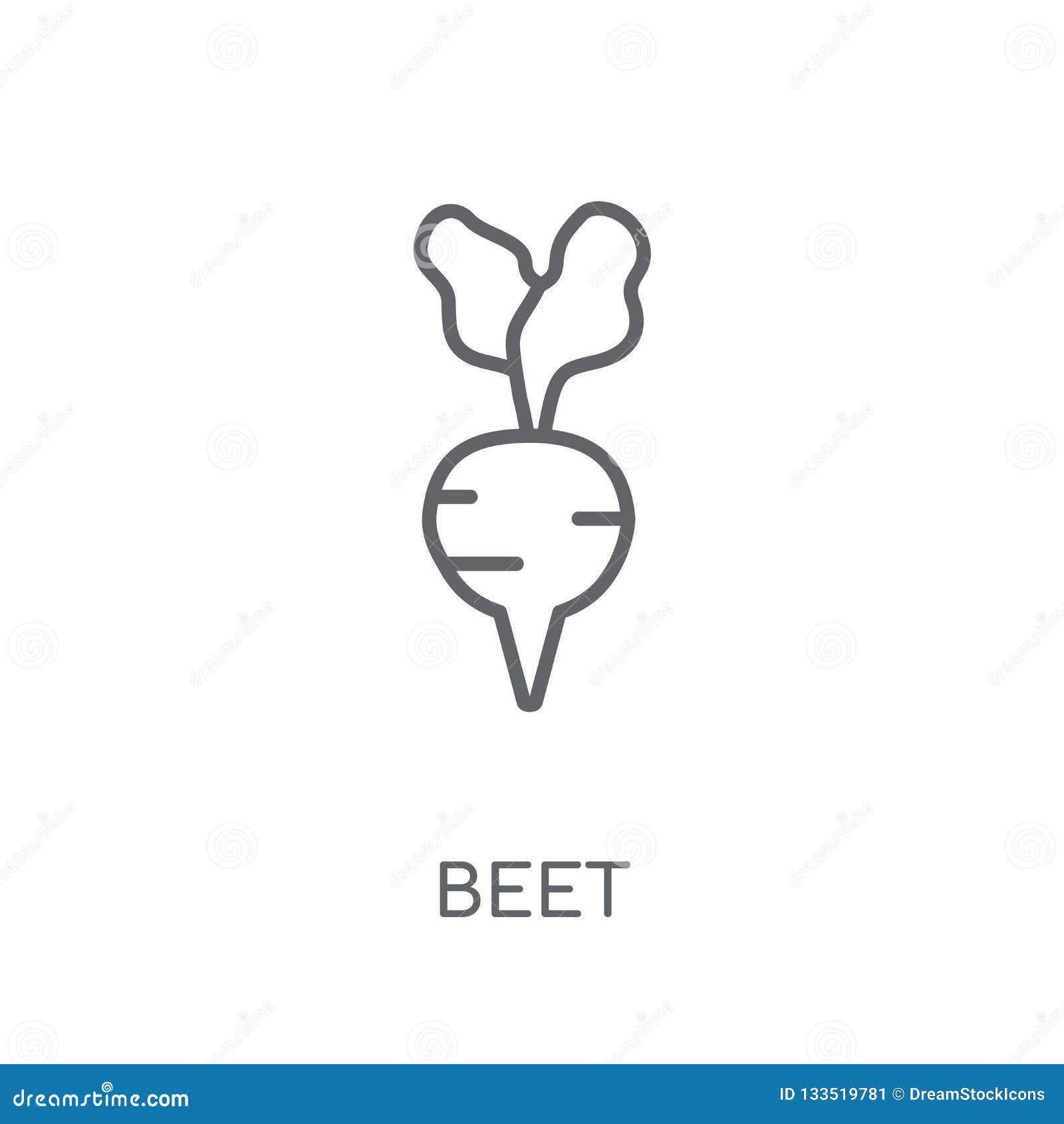 Beet Linear Icon. Modern Outline Beet Logo Concept on White Back Stock ...