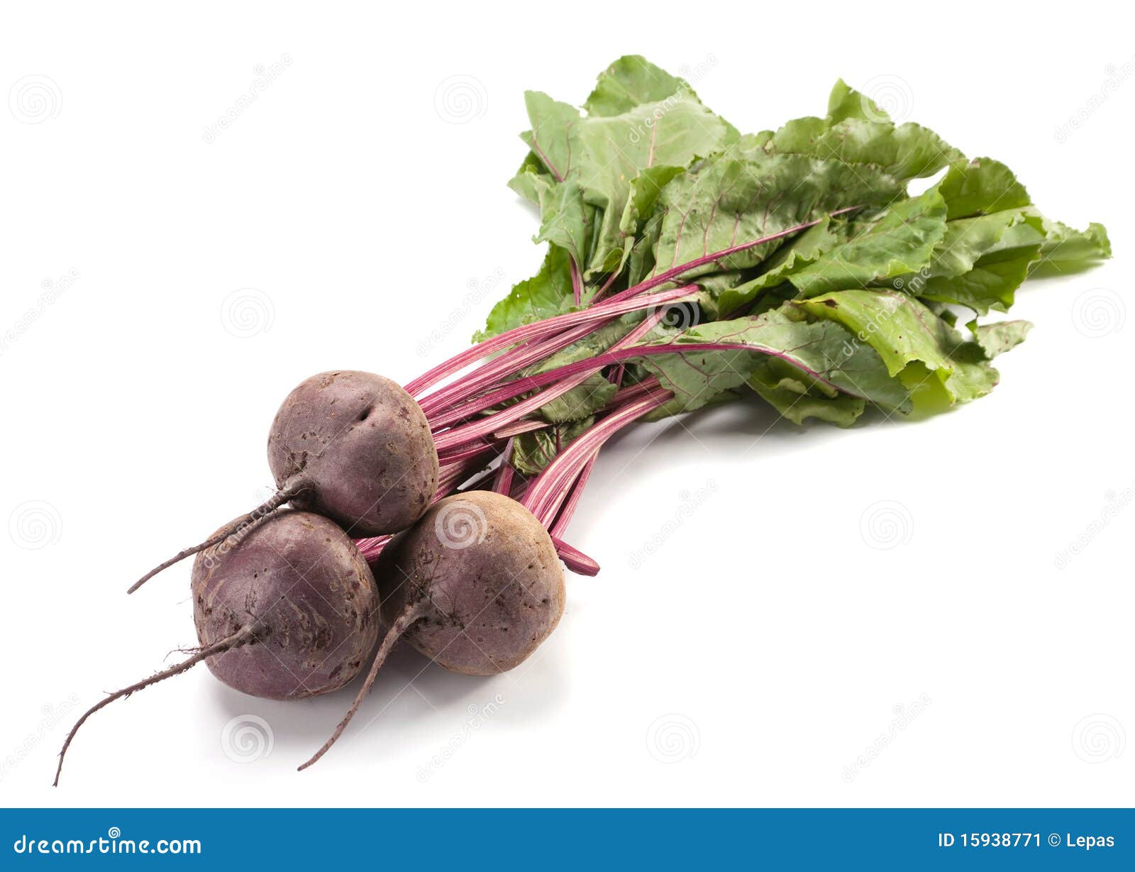 Beet purple vegetable stock image. Image of beet, root - 15938771