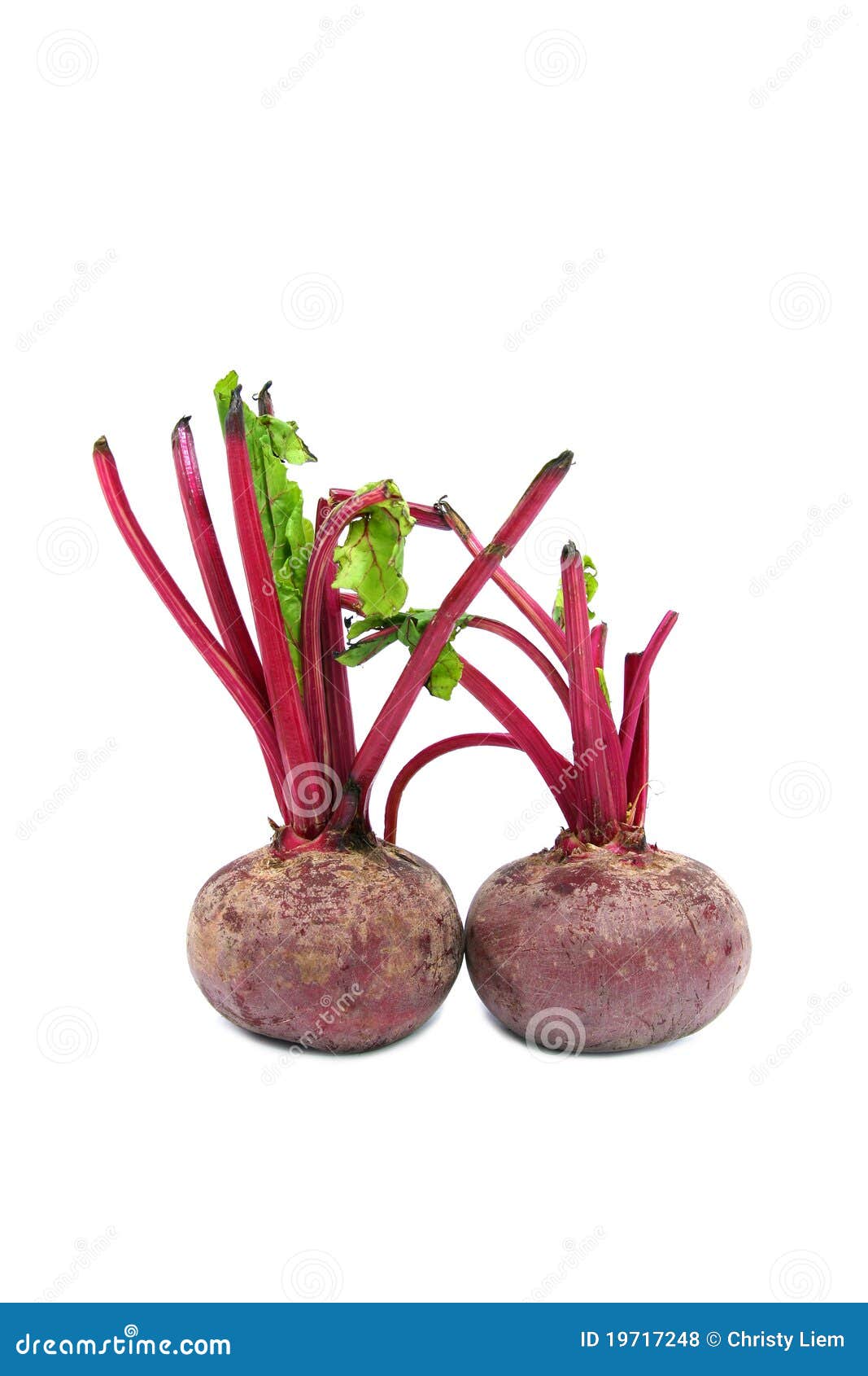 Beet root stock photo. Image of market, leisure, lifestyle - 19717248