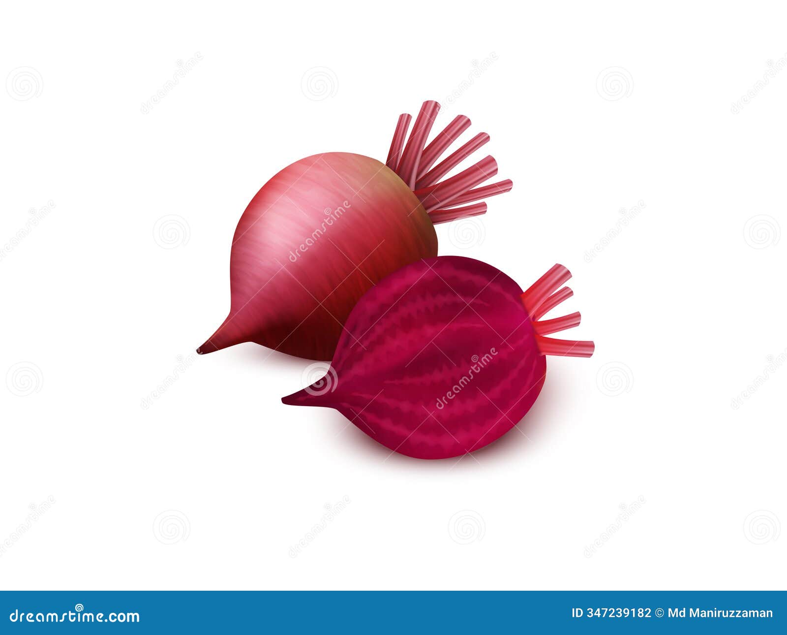 Beet Root Isolated on White Background. Beet Root Isolated Clipping ...