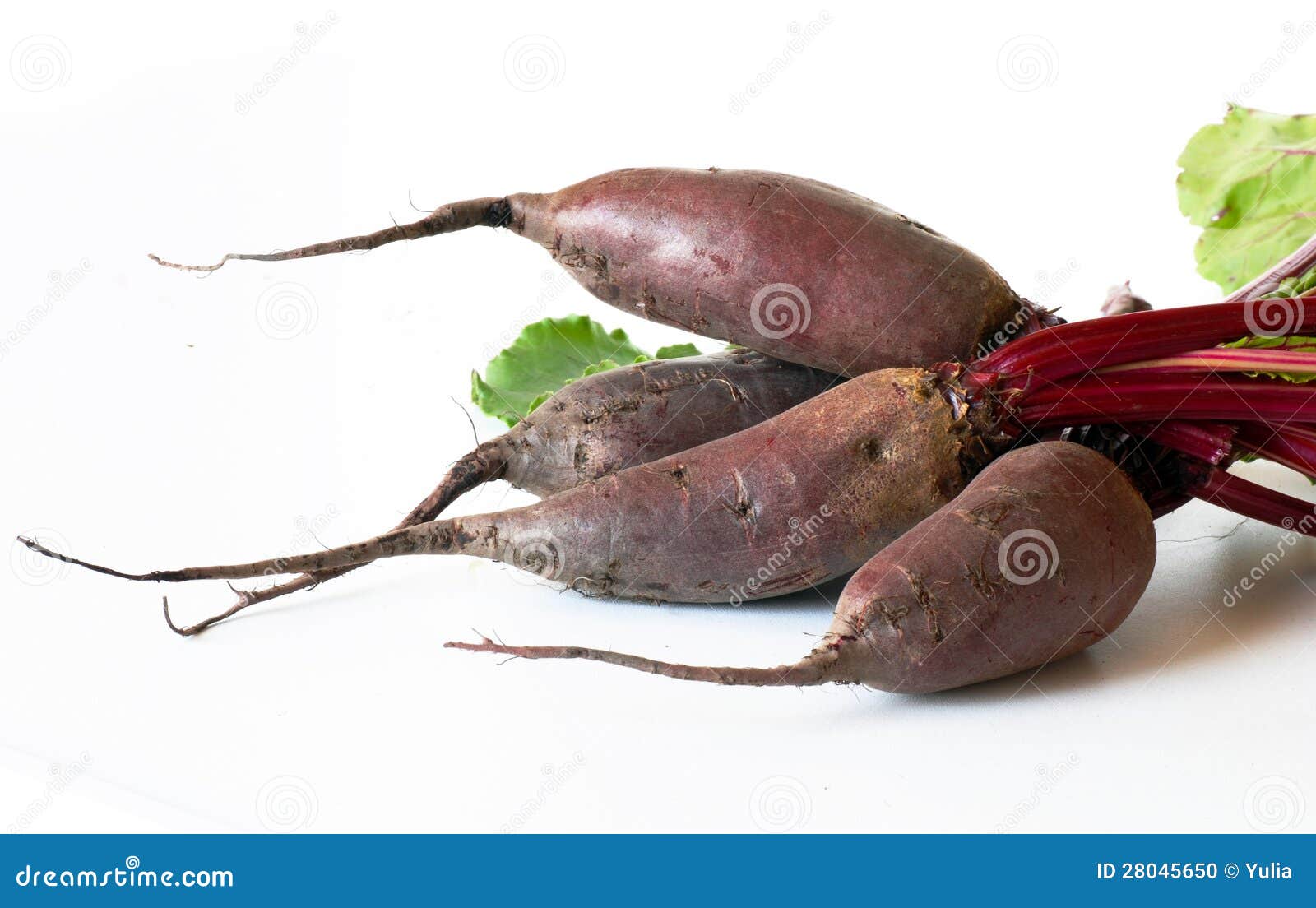 Beet roots stock photo. Image of root, homegrown, green - 28045650