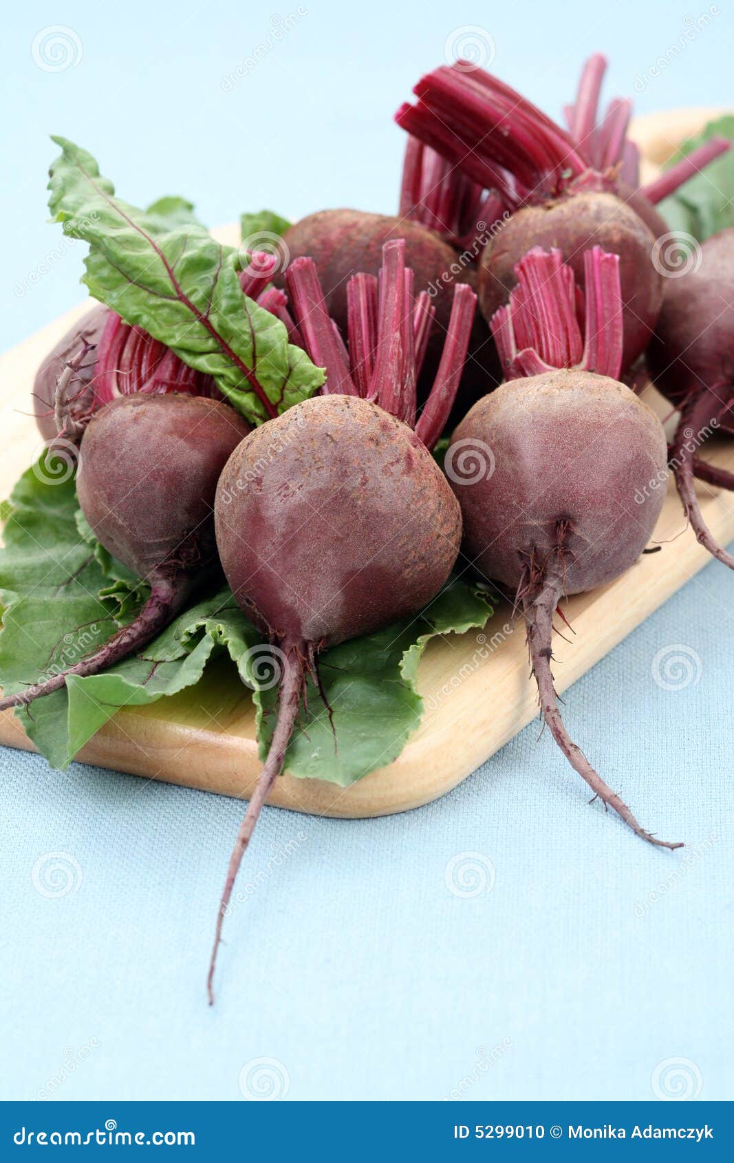 Beet roots stock photo. Image of fresh, spring, food, natural - 5299010