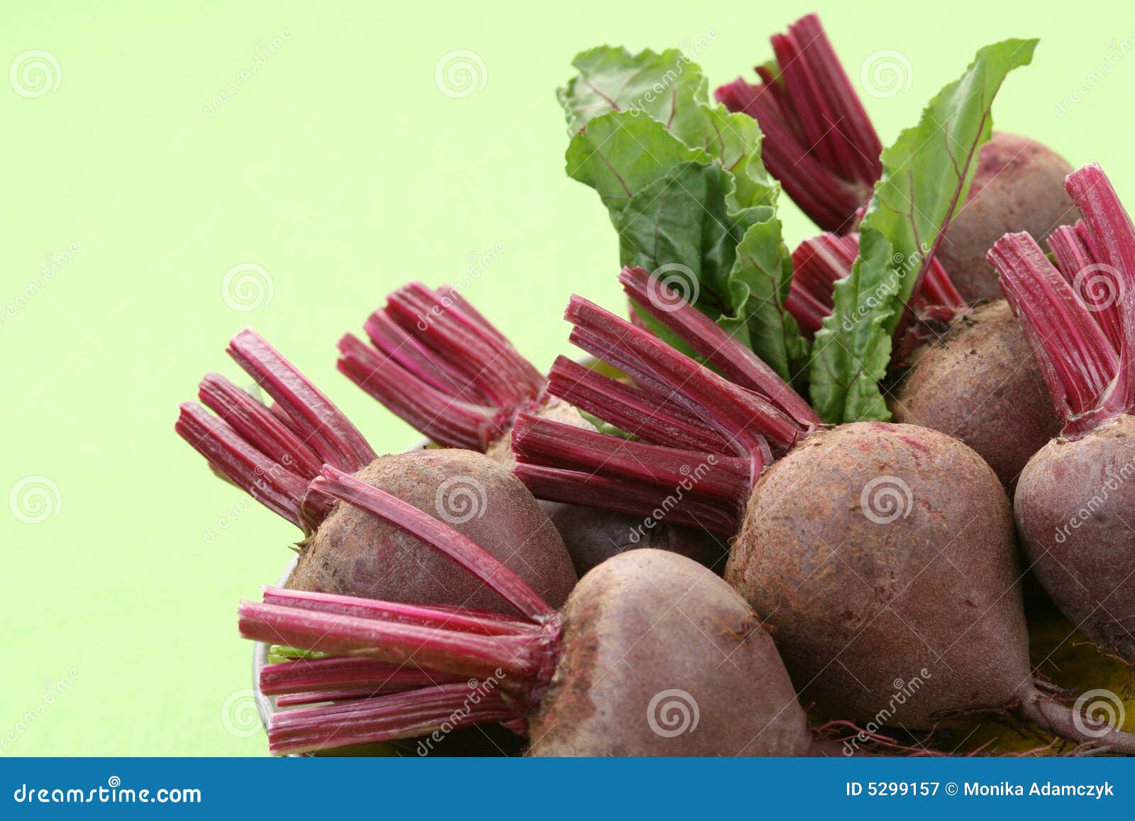 Beet roots stock image. Image of cook, root, beet, natural - 5299157