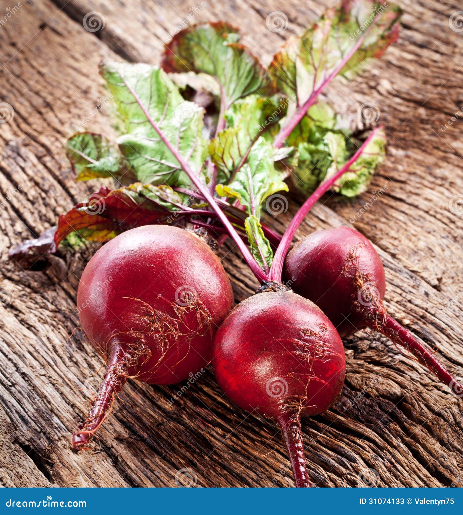 Beet roots. stock image. Image of diet, vegetable, harvest - 31074133
