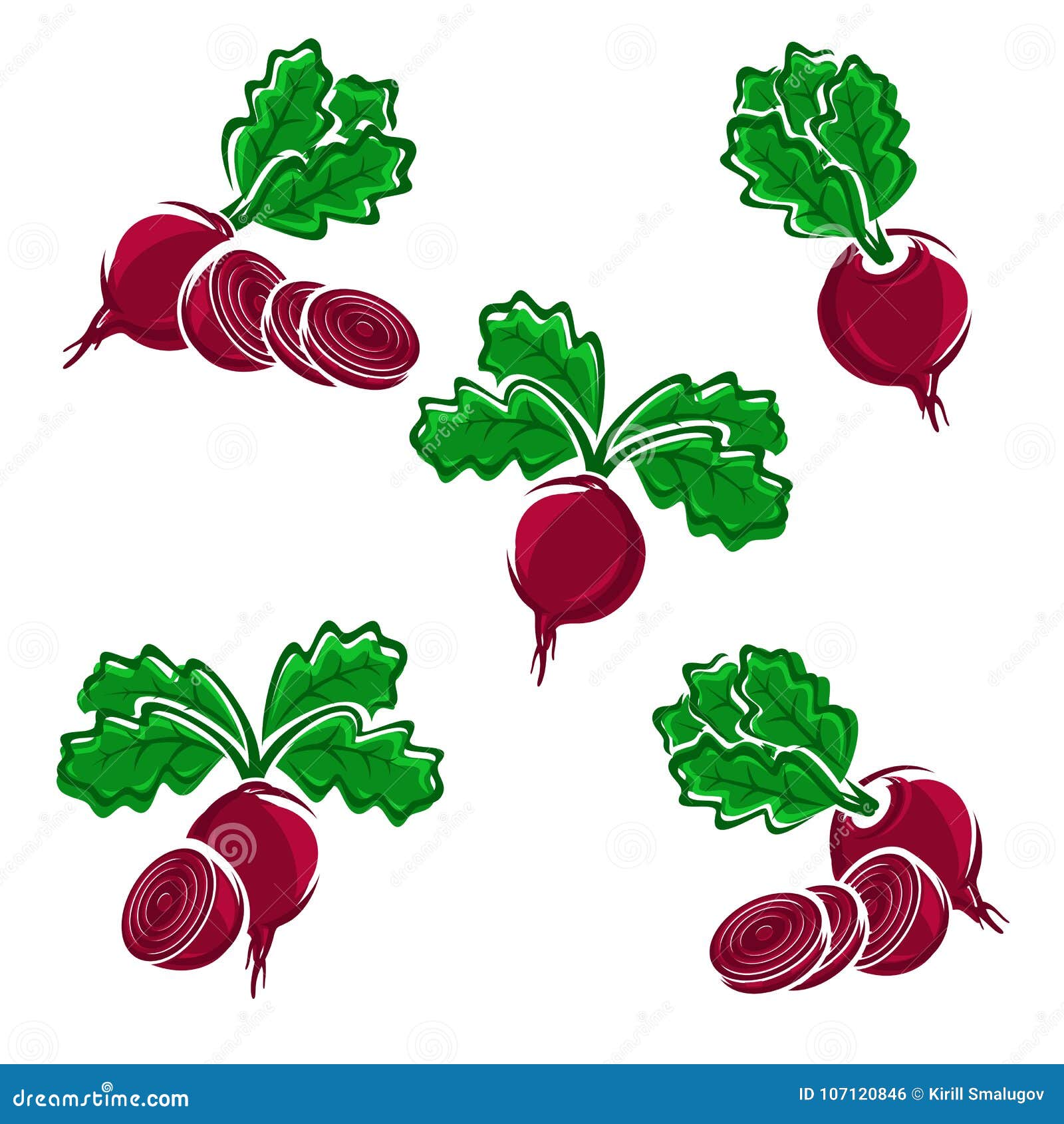 Beet set. Vector stock vector. Illustration of silhouette - 107120846