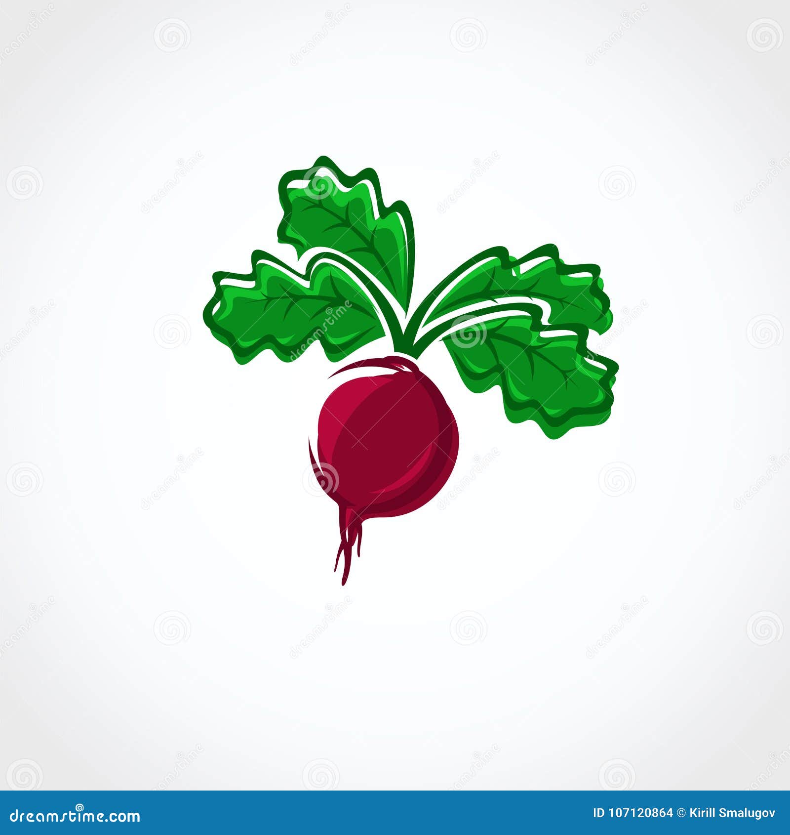 Beet set. Vector stock vector. Illustration of nature - 107120864