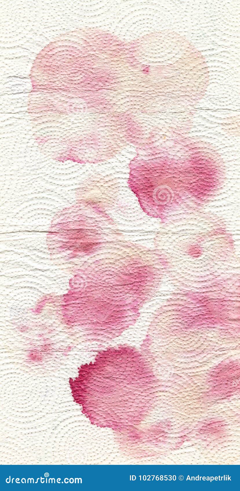 Structure Of Beet Root Under A Microscope Stock Image | CartoonDealer ...