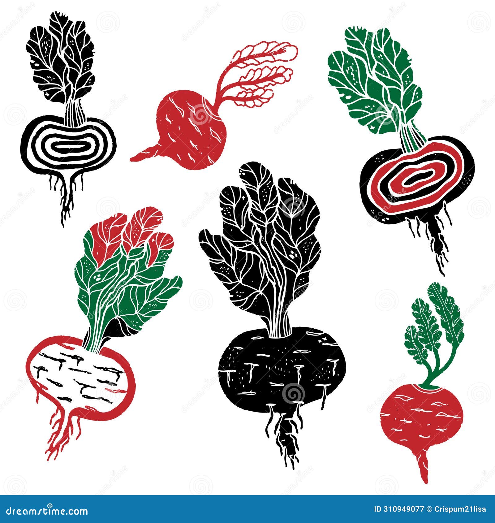 Beet. Texture Graphic Elements Stock Illustration - Illustration of ...