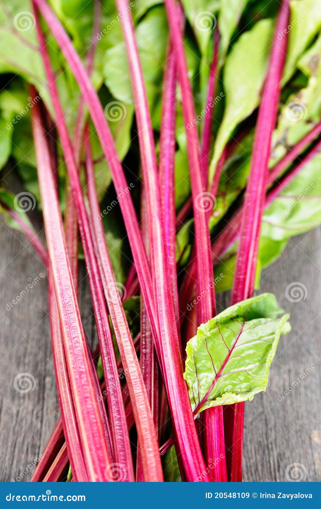 Beet tops stock image. Image of greens, kitchen, plant - 20548109