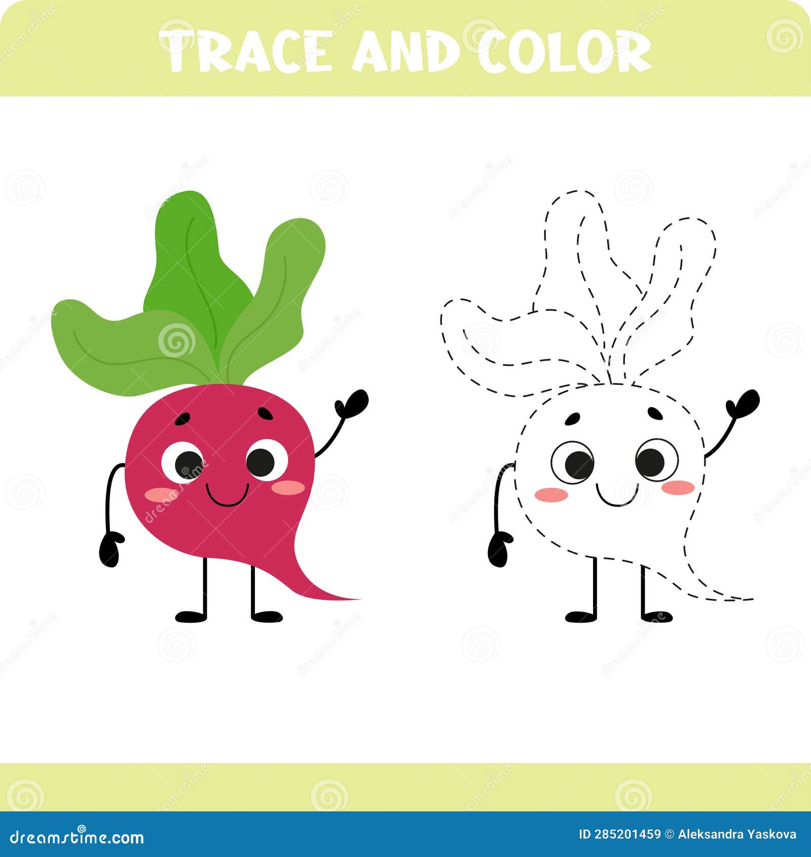 Beet. Educational Material For The Study Of Vegetables. A Word On ...