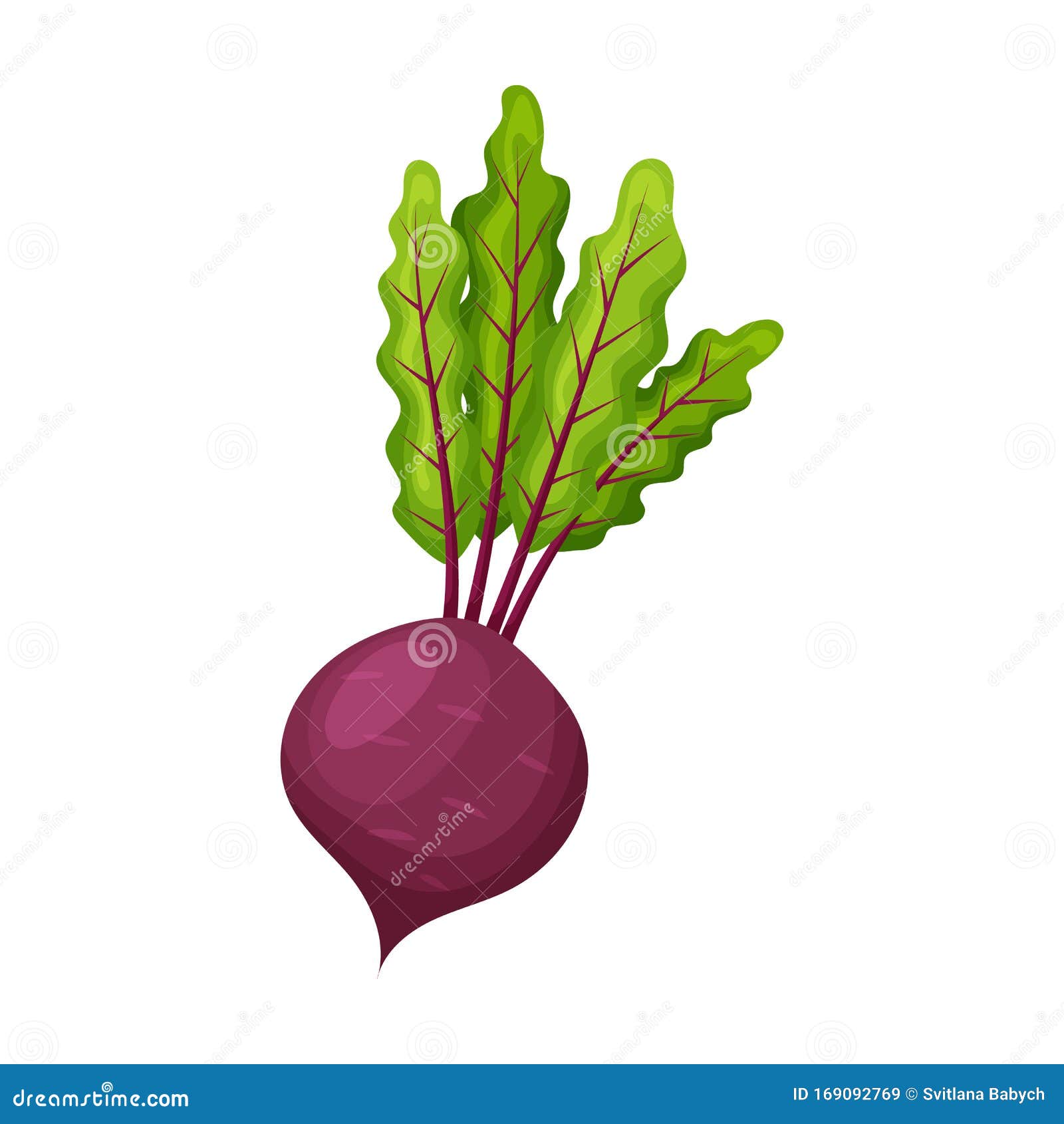 Beet Vector Icon.Cartoon Vector Icon Isolated on White Background Beet ...
