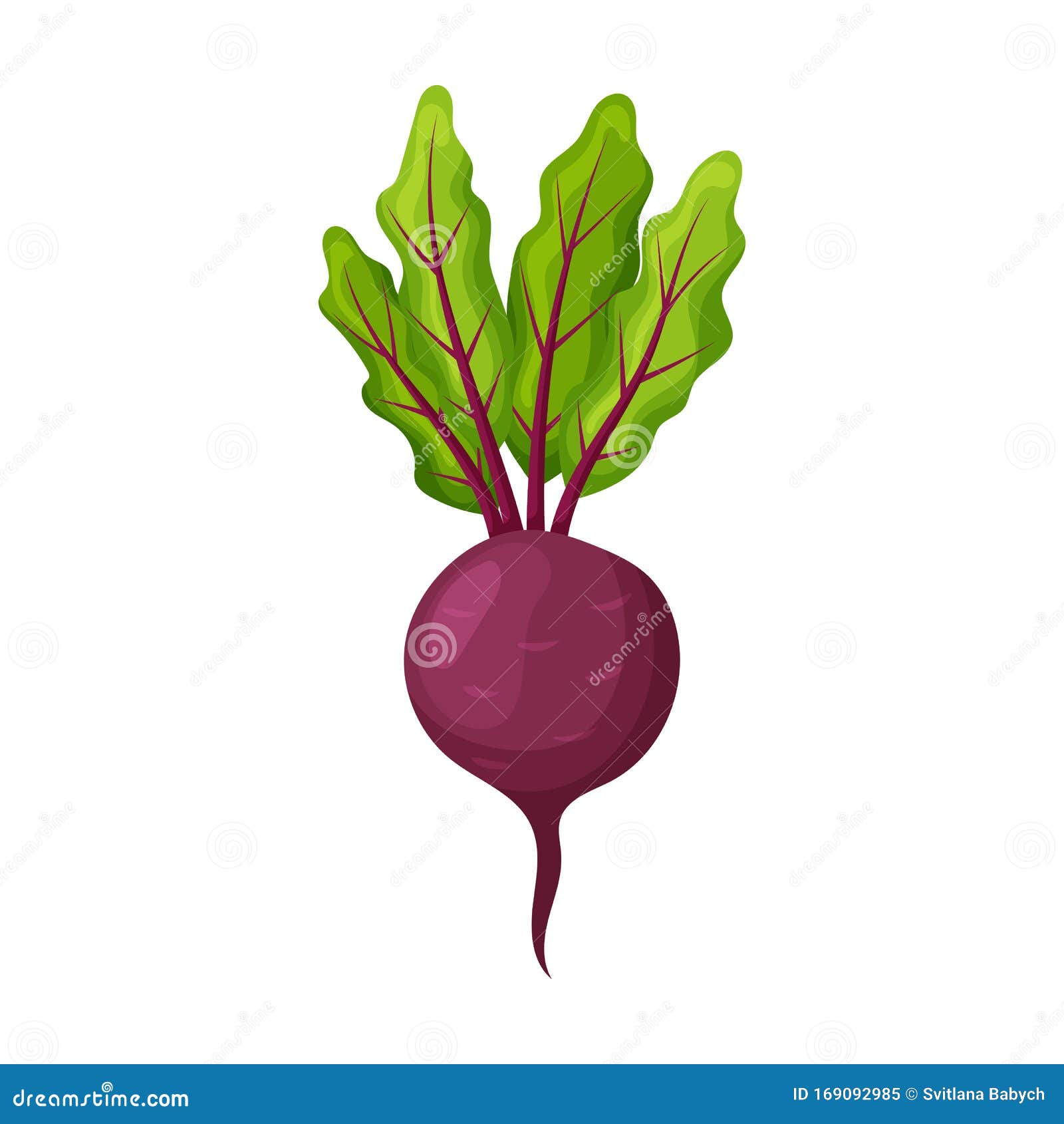 Beet Vector Icon.Cartoon Vector Icon Isolated on White Background Beet ...