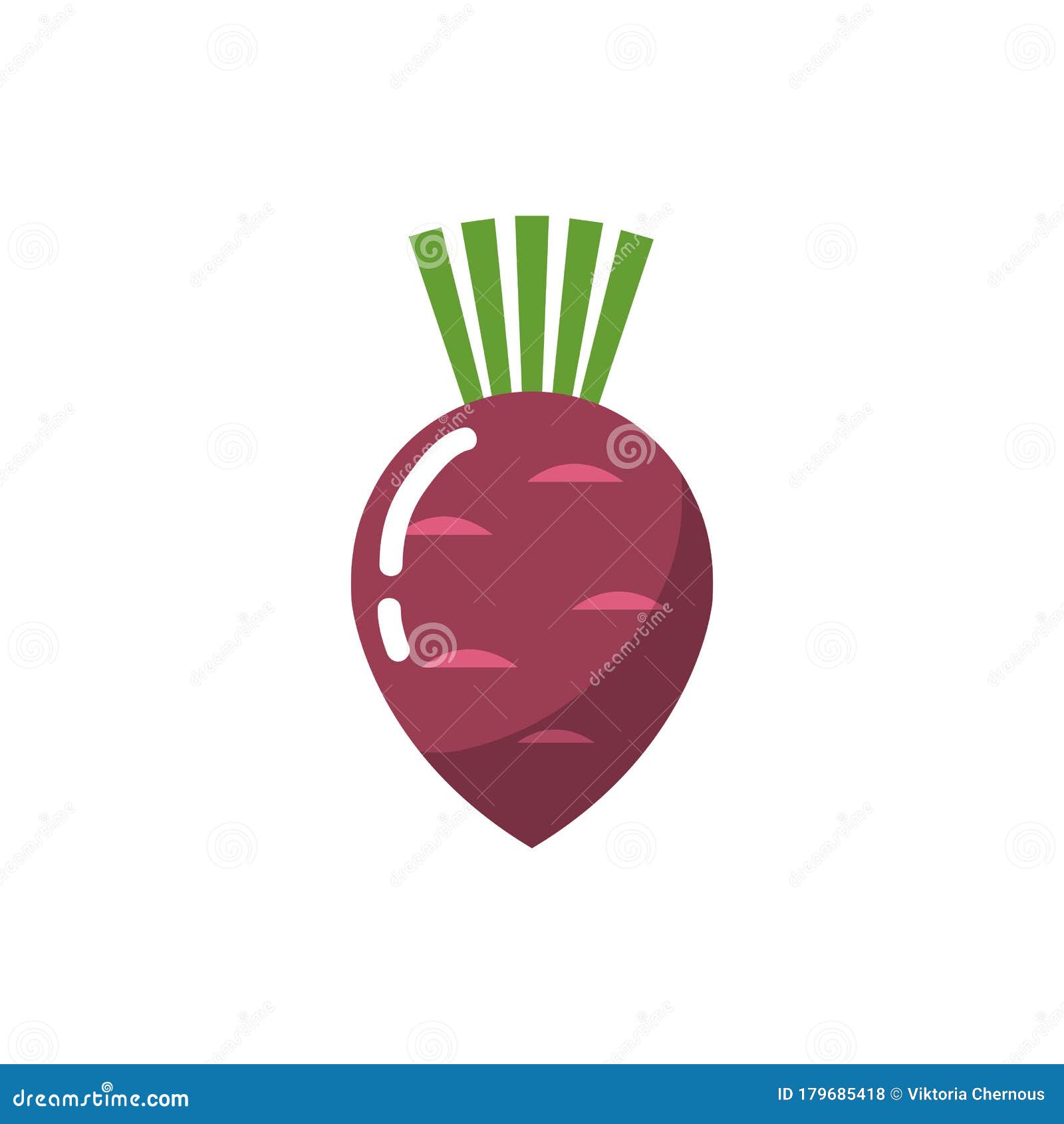 Beet Vector Illustration Hand Drawn Painted | CartoonDealer.com #50039181