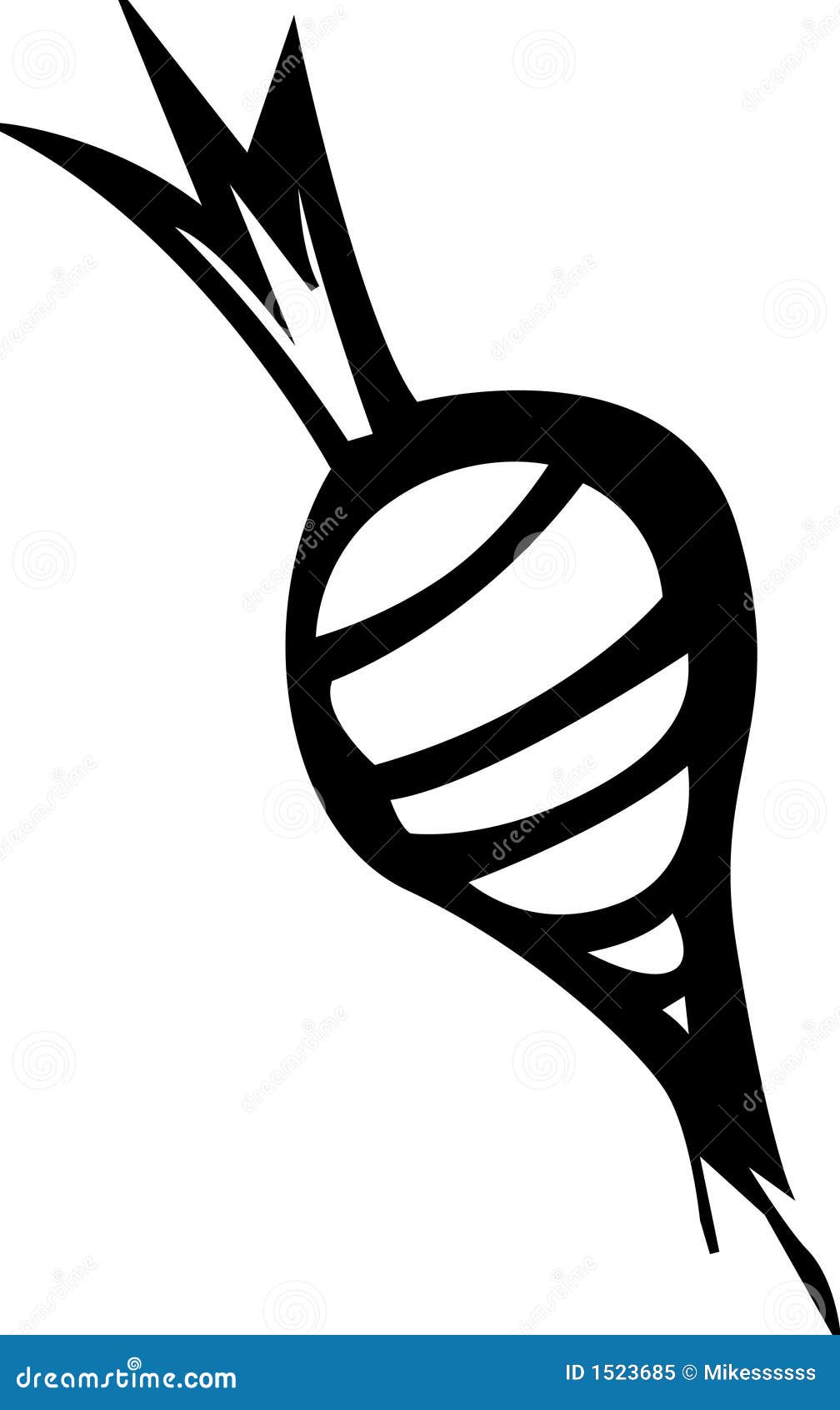 Beet vector illustration stock vector. Illustration of tuber - 1523685