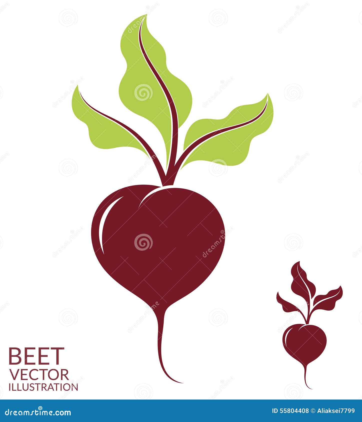 Beet stock vector. Illustration of beet, vector, sign - 55804408