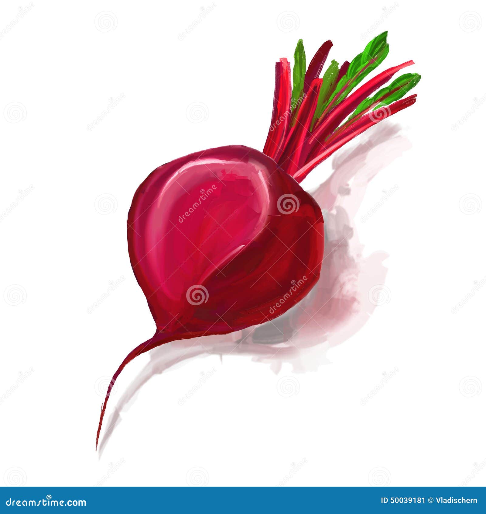Beet Vector Illustration Hand Drawn Painted Stock Vector - Illustration ...