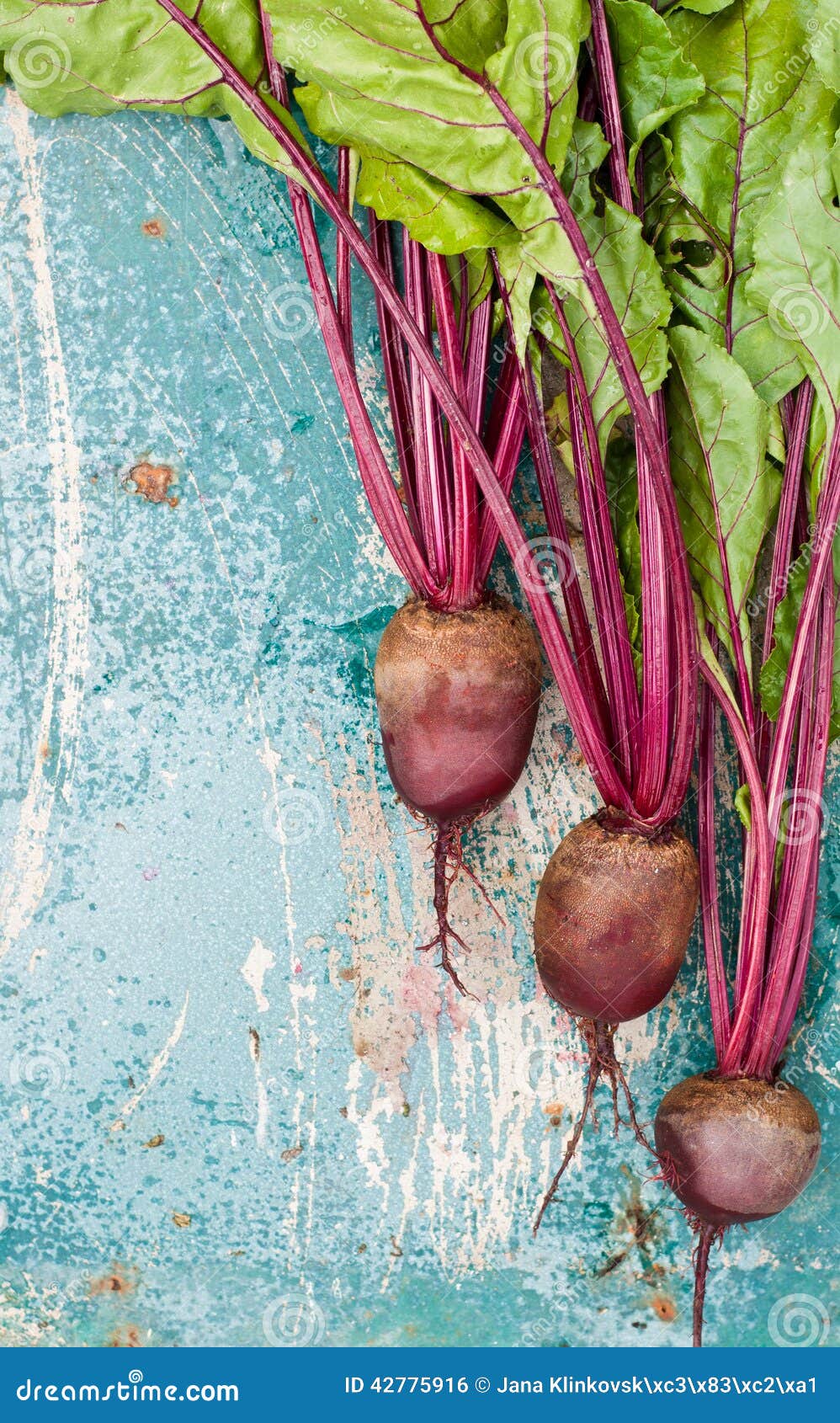 Beet Vintage Sheet Photos - Free & Royalty-Free Stock Photos from ...