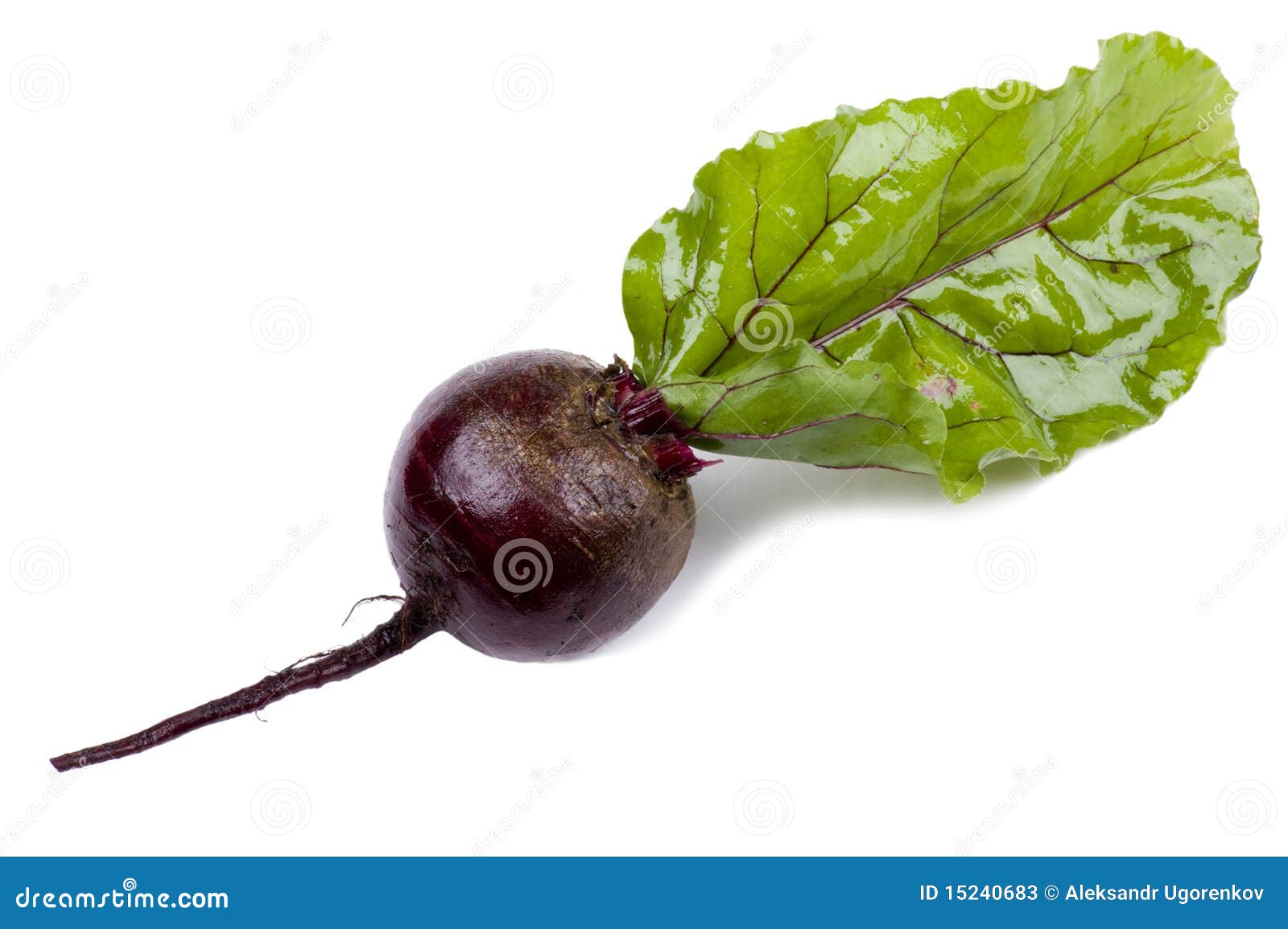 Beet on white close up stock image. Image of purple, health - 15240683