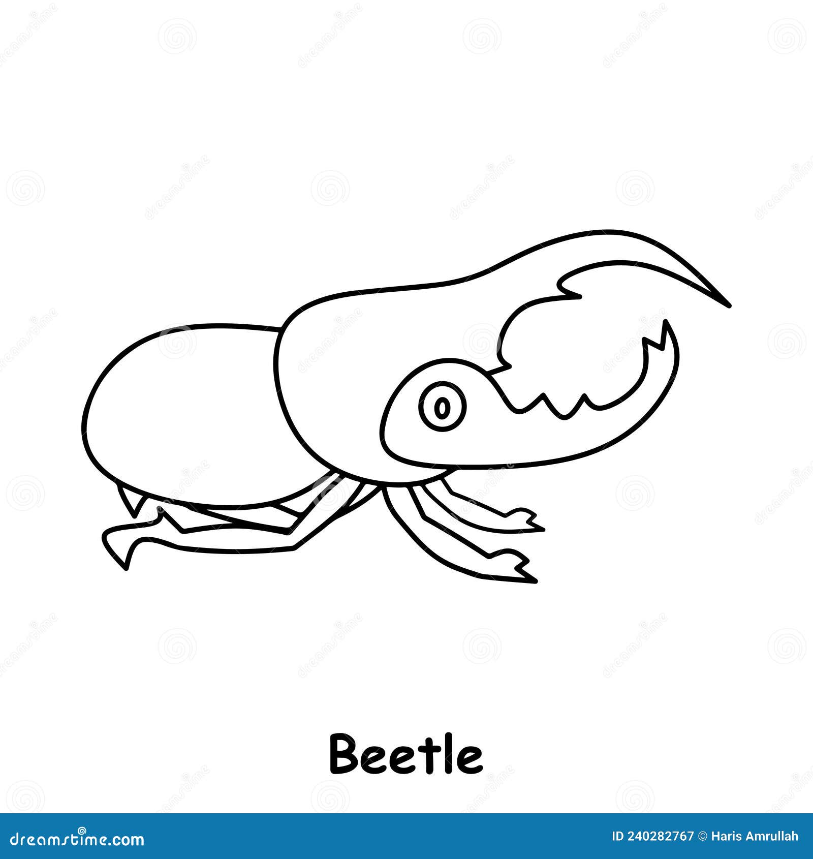 Beetle Children Book Illustration, Trace and Coloring Vector World Wild ...