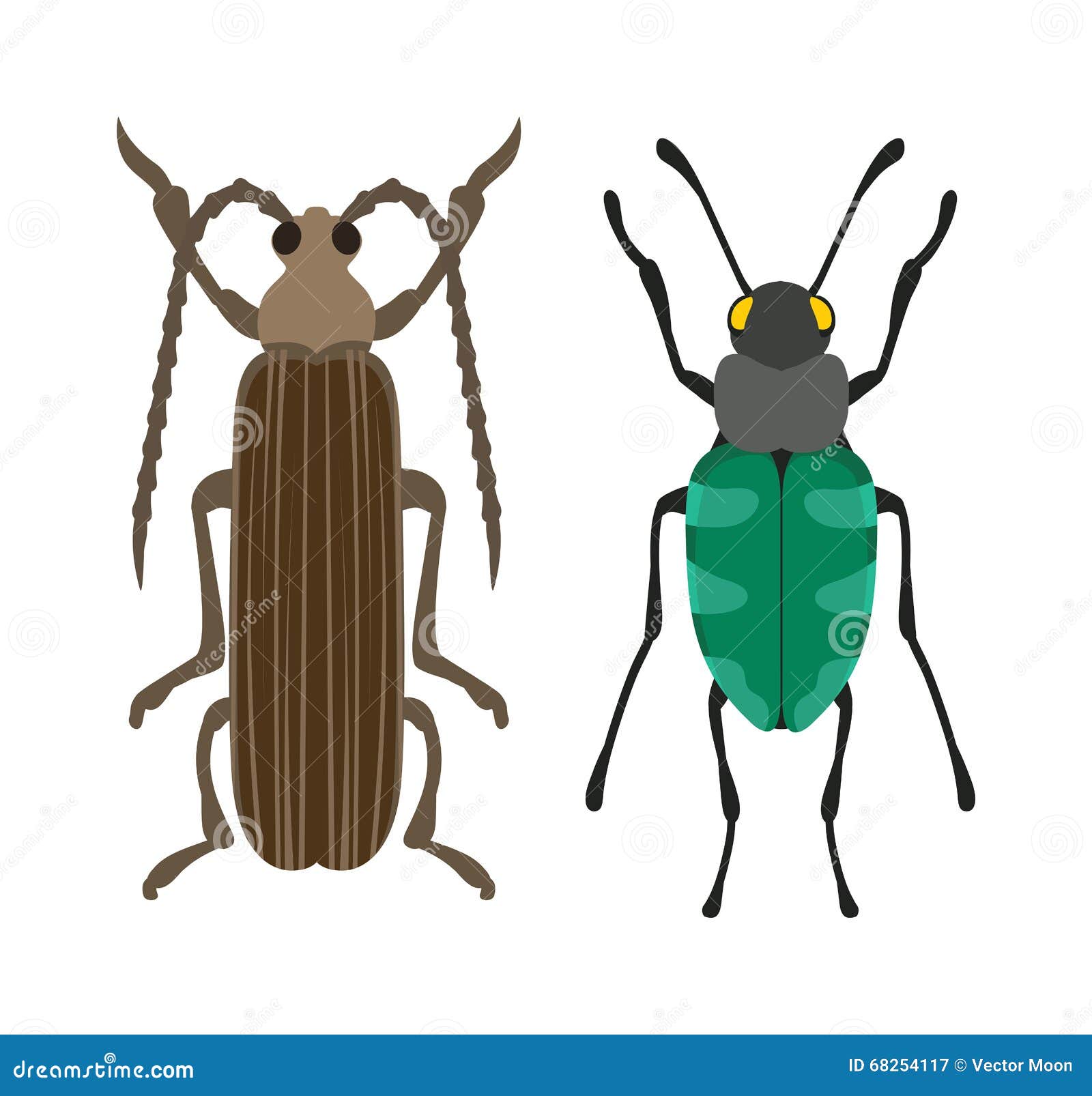 Beetle Flat Insect Bug in Cartoon Style Vector Stock Vector ...