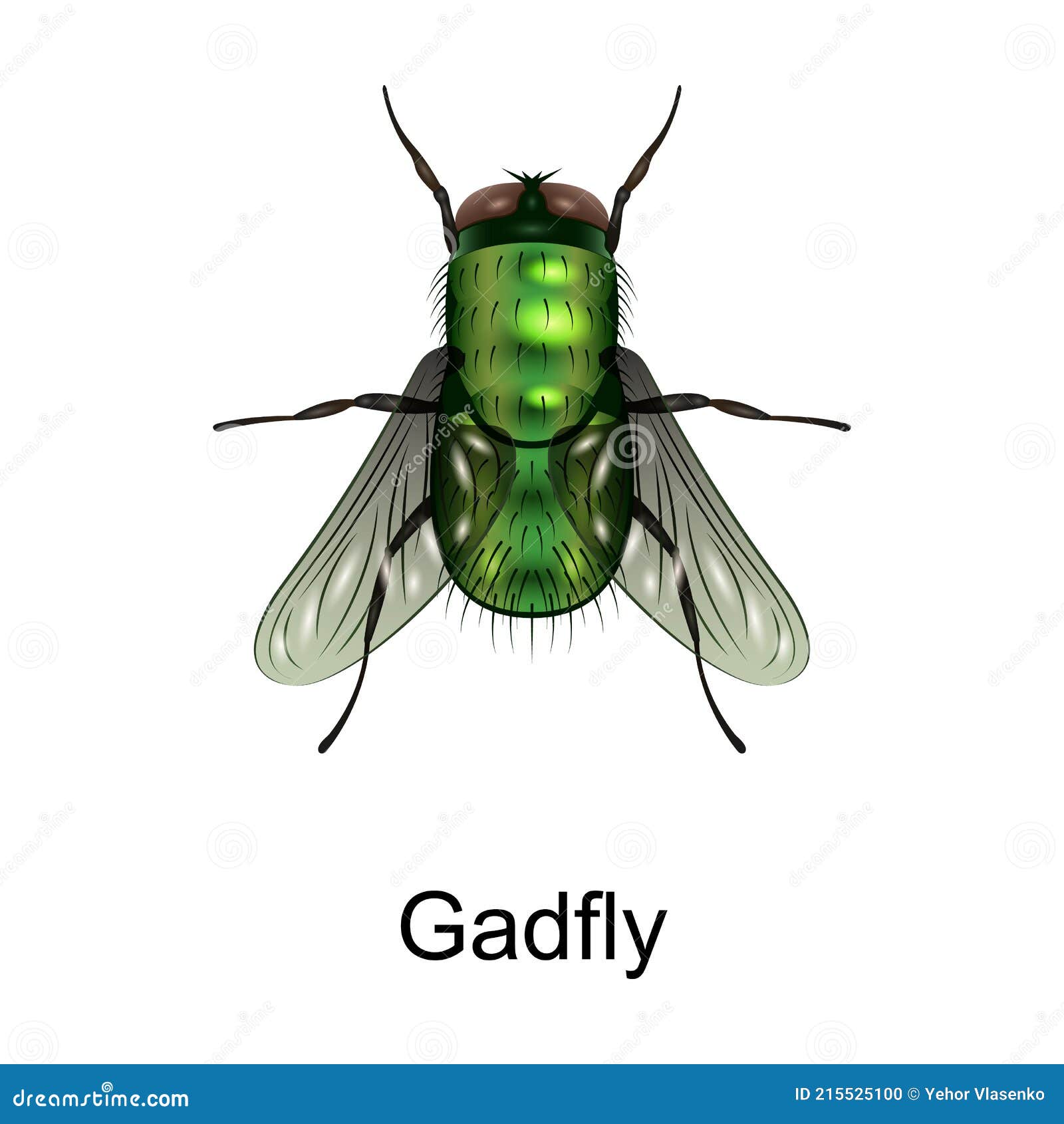 Gadfly Cartoons, Illustrations & Vector Stock Images - 74 Pictures to ...