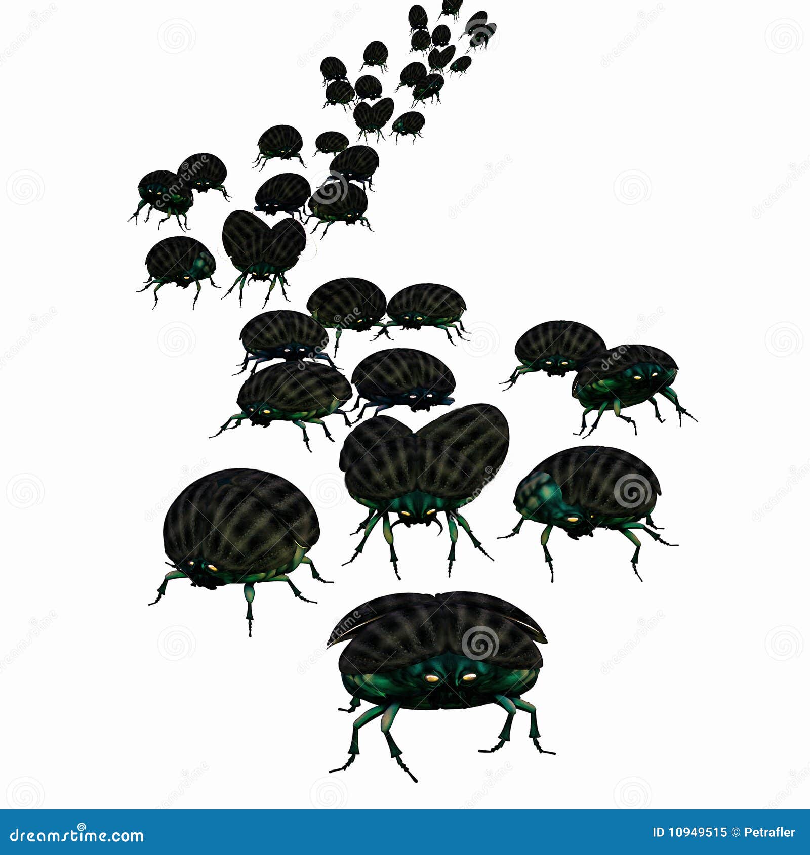 Beetle Infestation stock illustration. Illustration of insects - 10949515
