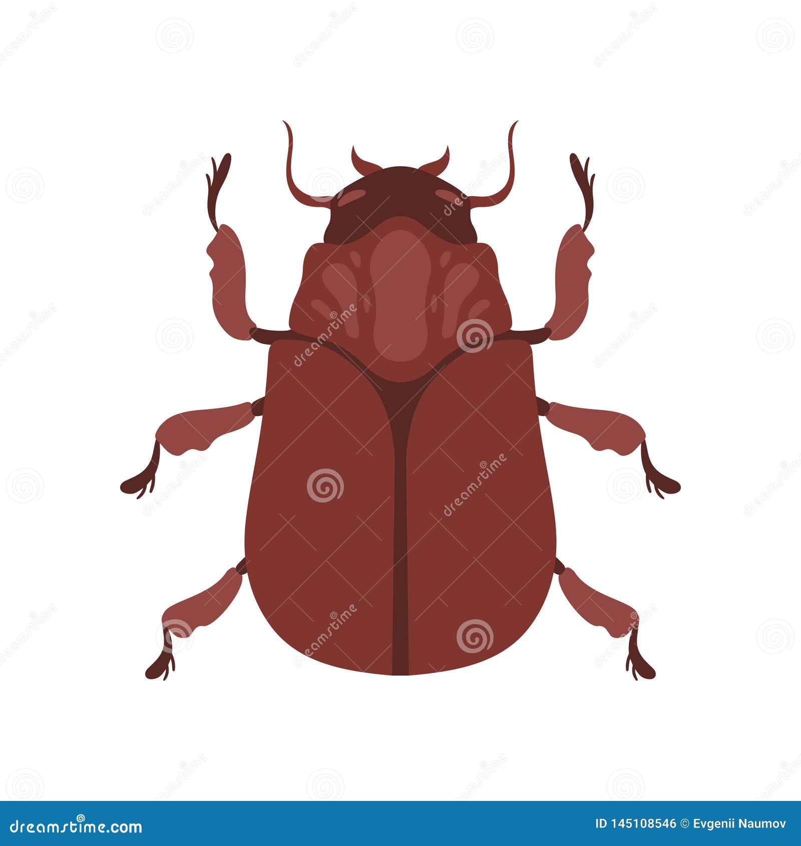 Beetle Insect, Brown Bug Top View Vector Illustration Stock Vector ...