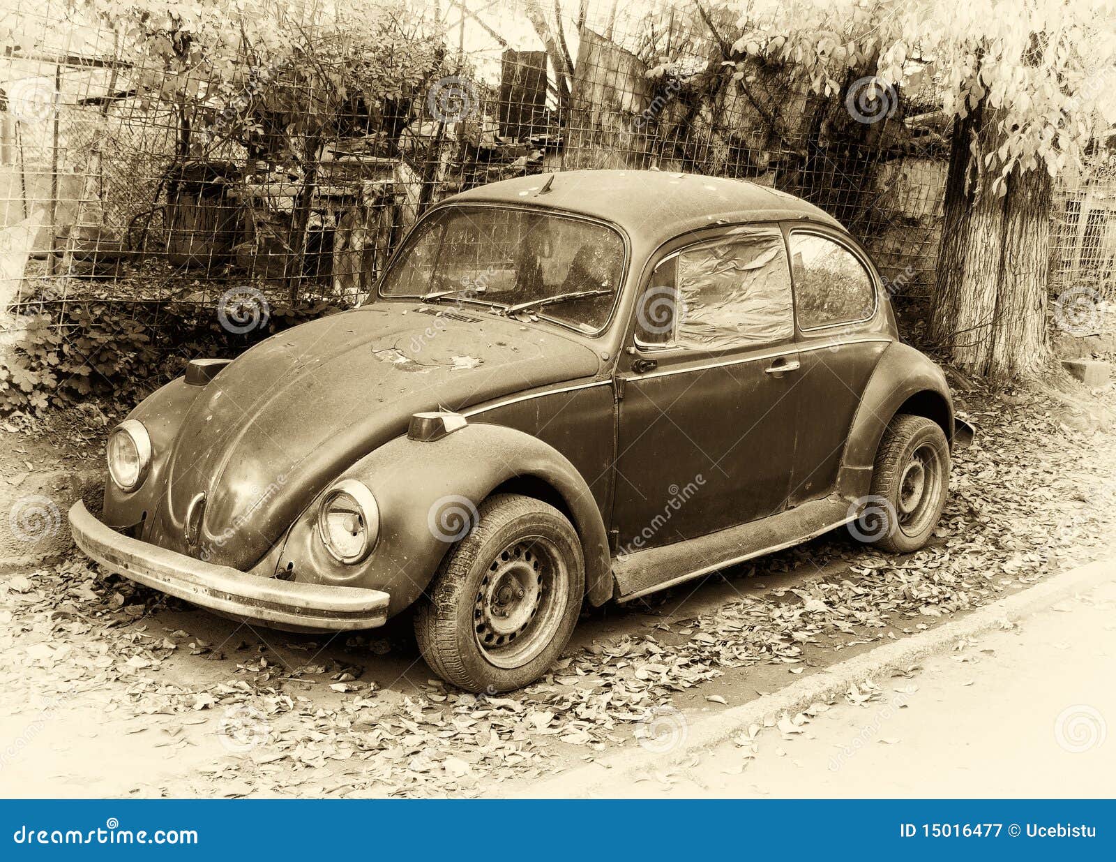 Beetle retro car stock image. Image of classic, road - 15016477
