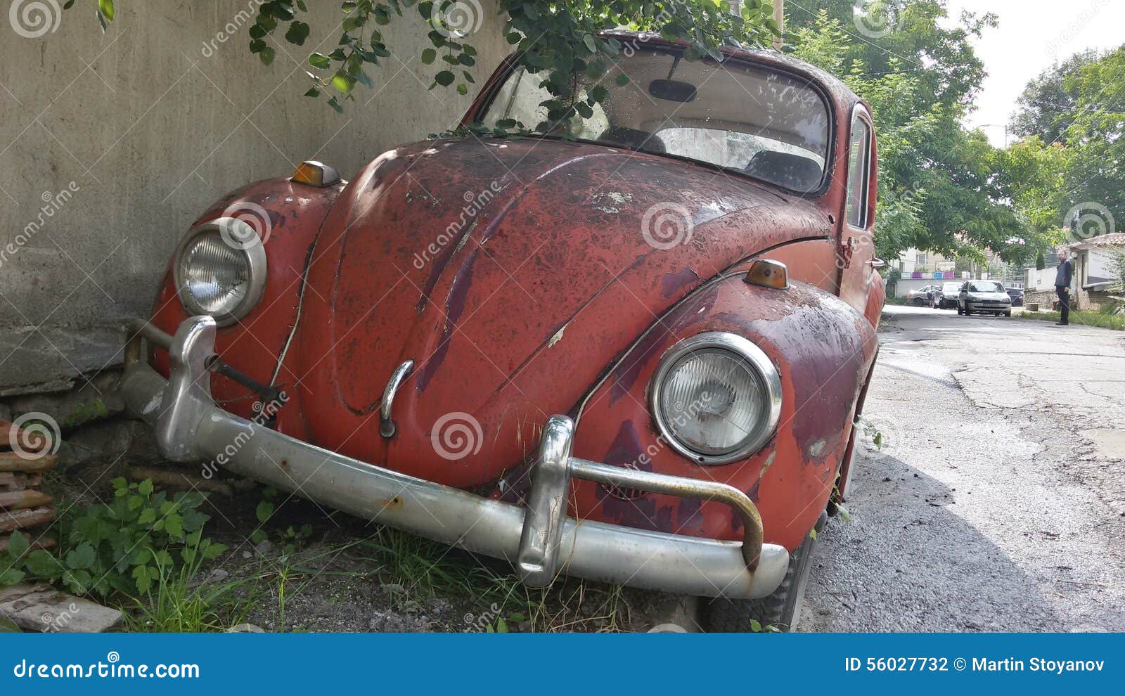 Beetle stock photo. Image of volkswagen, beetle, looking - 56027732
