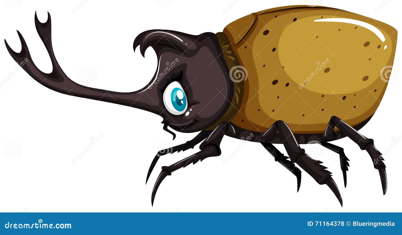 Beetle with sharp horn stock vector. Illustration of horn - 71164378