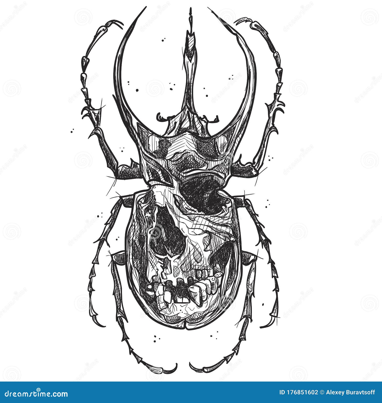 Beetle with skull stock vector. Illustration of chef - 176851602
